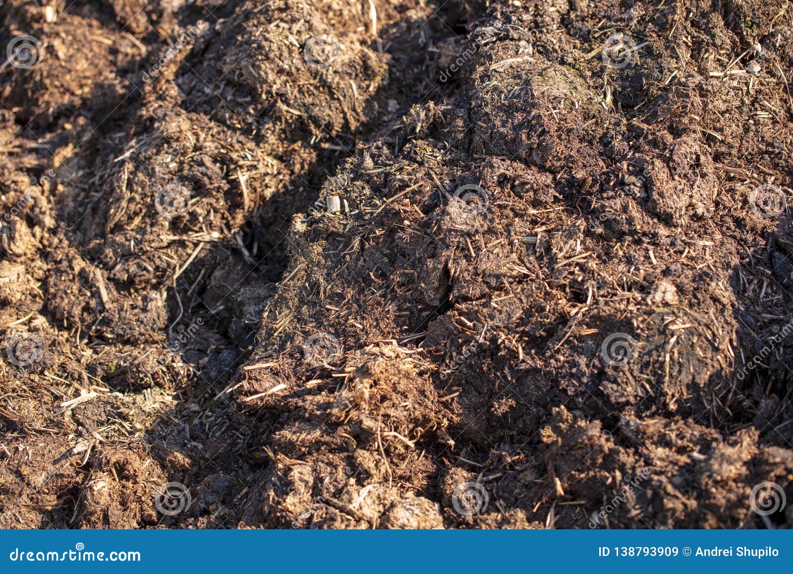 Fertilizer from Manure As an Abstract Background Stock Image - Image of ...