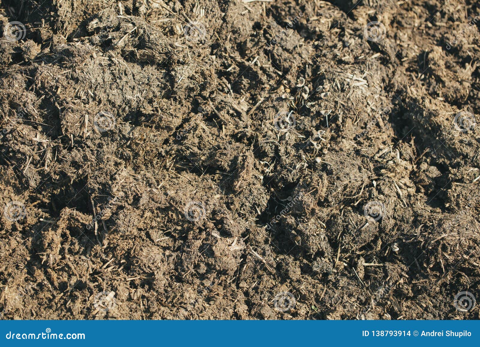 Fertilizer from Manure As an Abstract Background Stock Photo - Image of ...