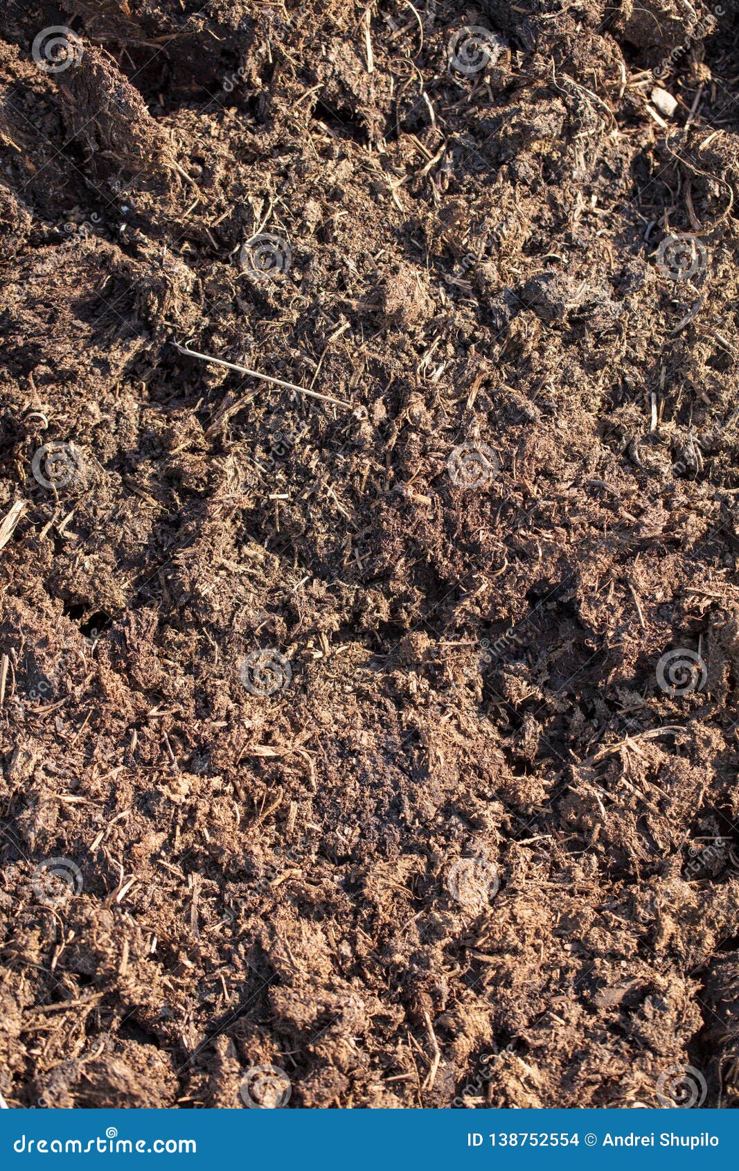Fertilizer from Manure As an Abstract Background Stock Photo - Image of ...