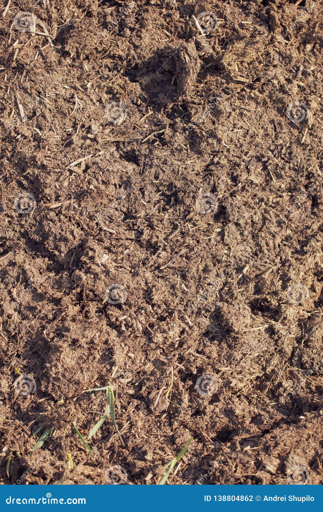 Fertilizer from Manure As an Abstract Background Stock Photo - Image of ...