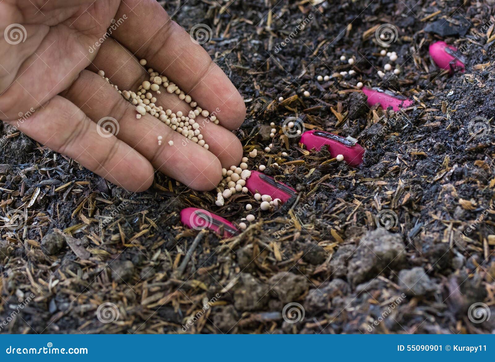 Fertilizer, Soil,giving Plant Fertilizer Stock Image - Image of soil ...