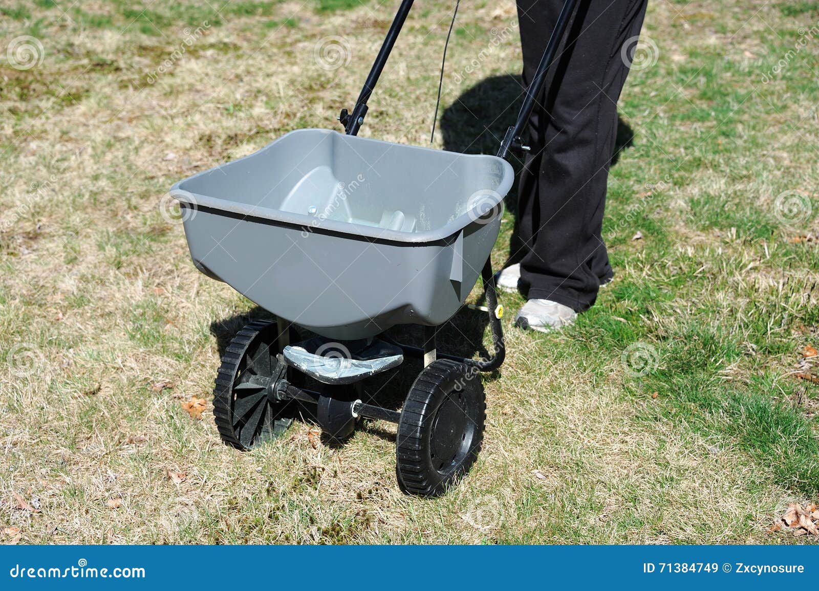 Fertilizing the Lawn by Fertilizer Spreader Stock Image - Image of care ...