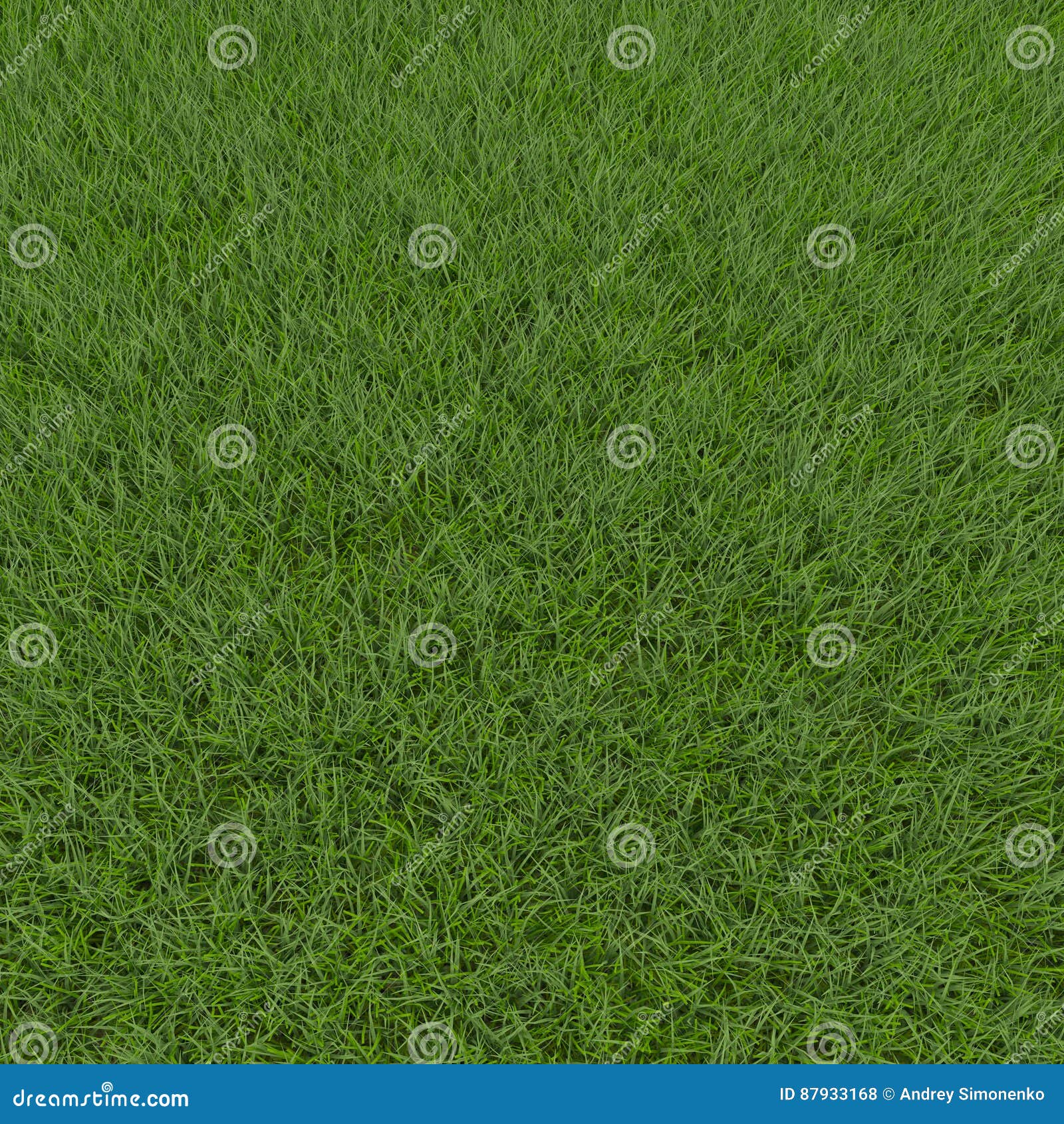 Meadow Fescue Grass Texture For Landscape Design Stock Photo ...