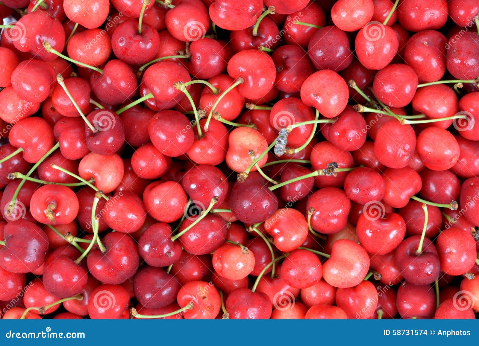 Fesh cherry stock photo. Image of sweet, natural, fresh - 58731574