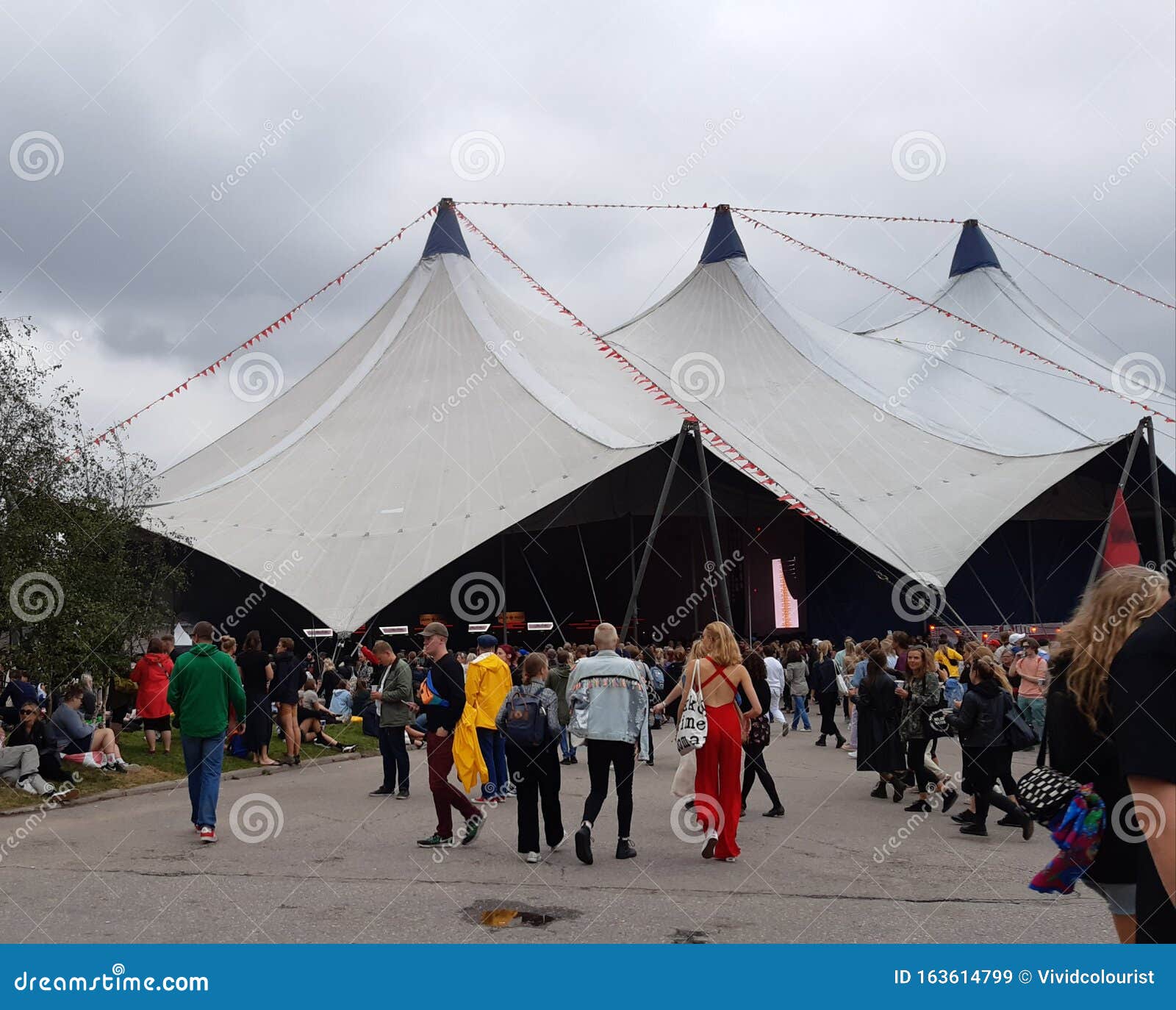 Festival goers editorial stock image. Image of festival - 163614799