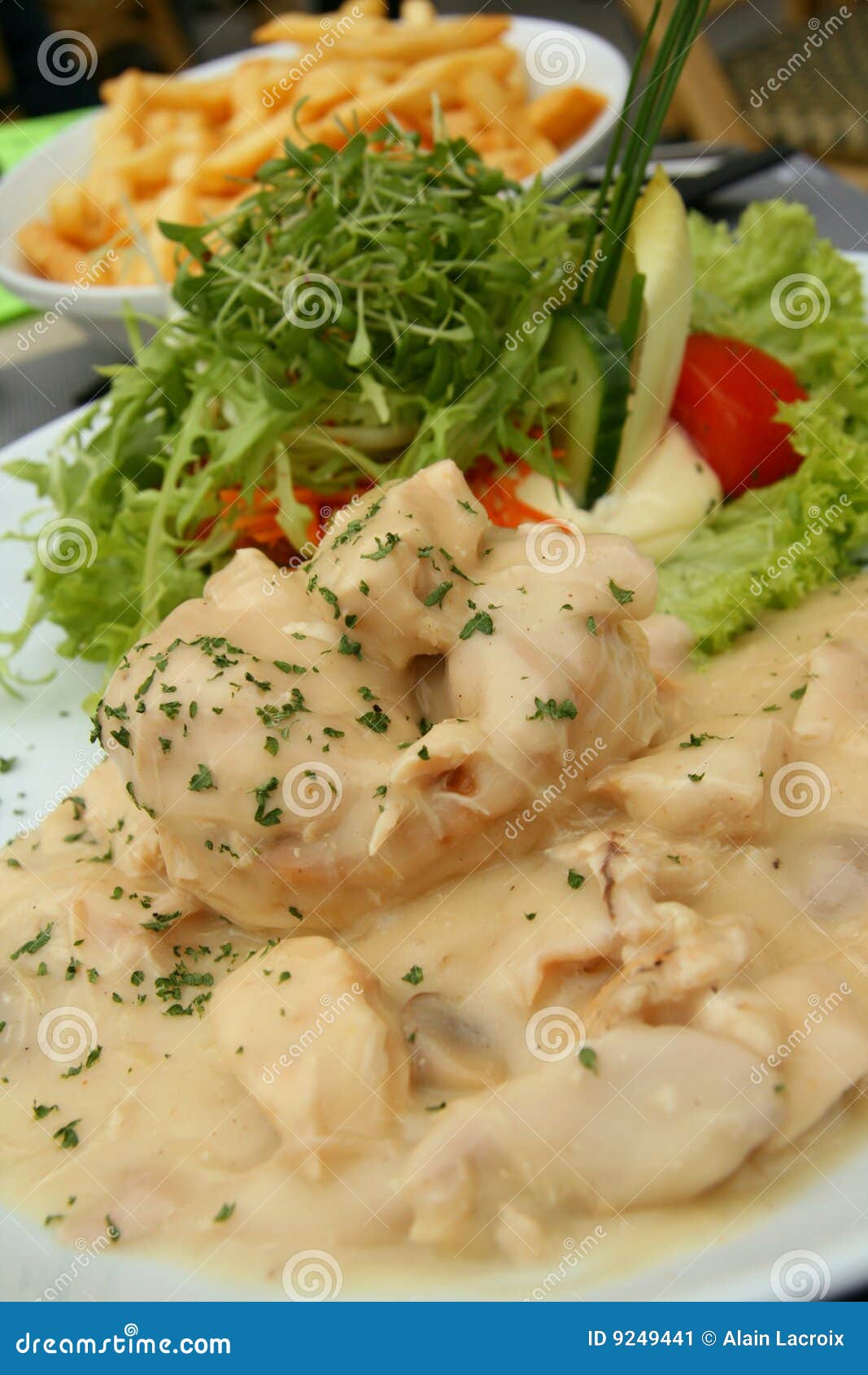 Festive chicken stew stock image. Image of fried, ingredients - 9249441