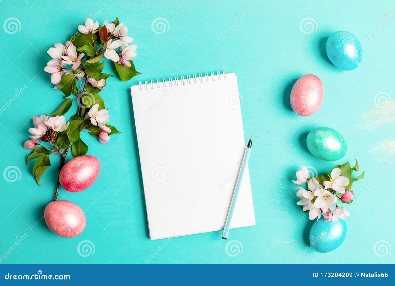 Festive Easter Layout with Pink Apple Tree Twigs, Colored Eggs, White ...