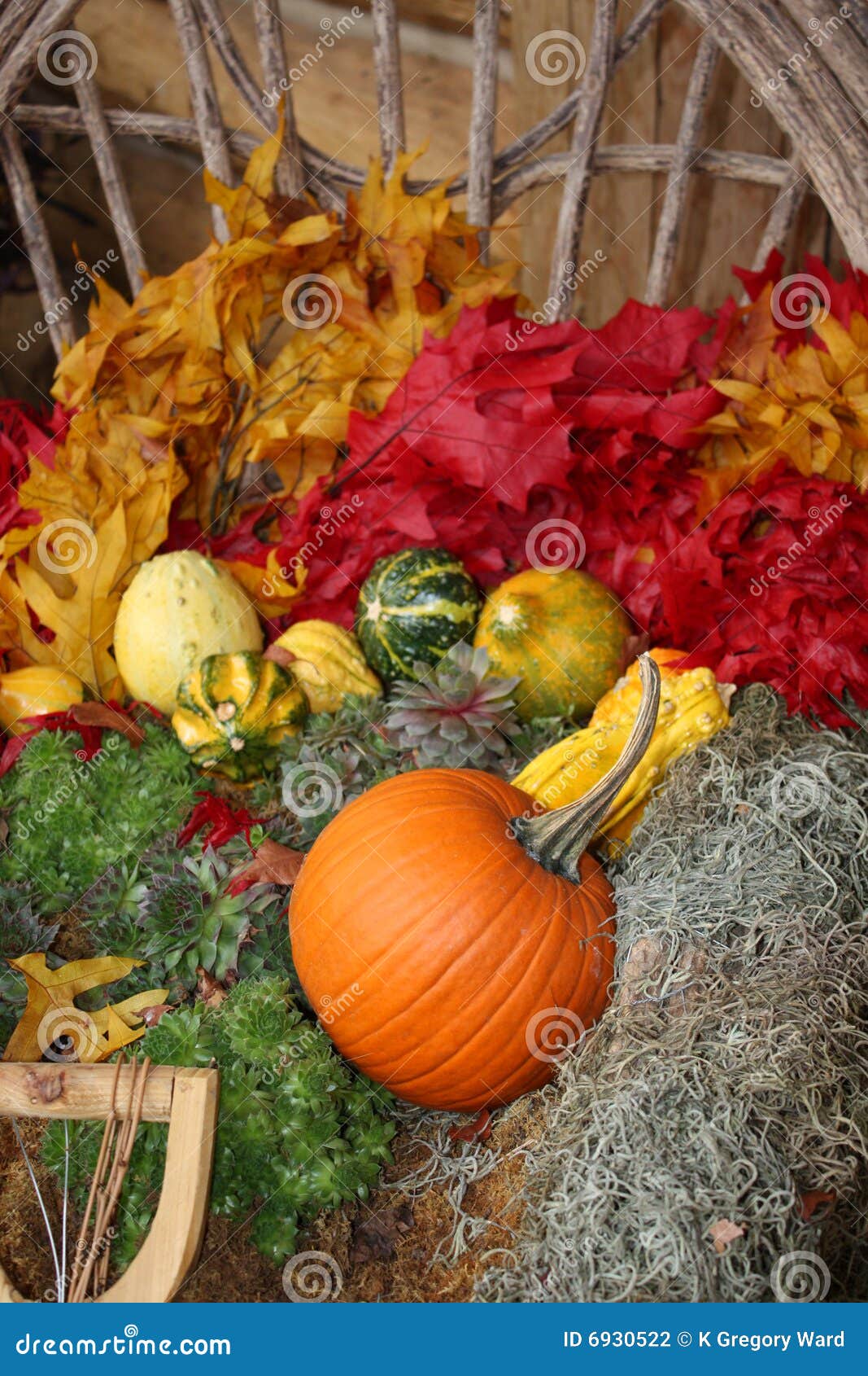 Festive Fall stock photo. Image of festive, gourd, pumpkin - 6930522