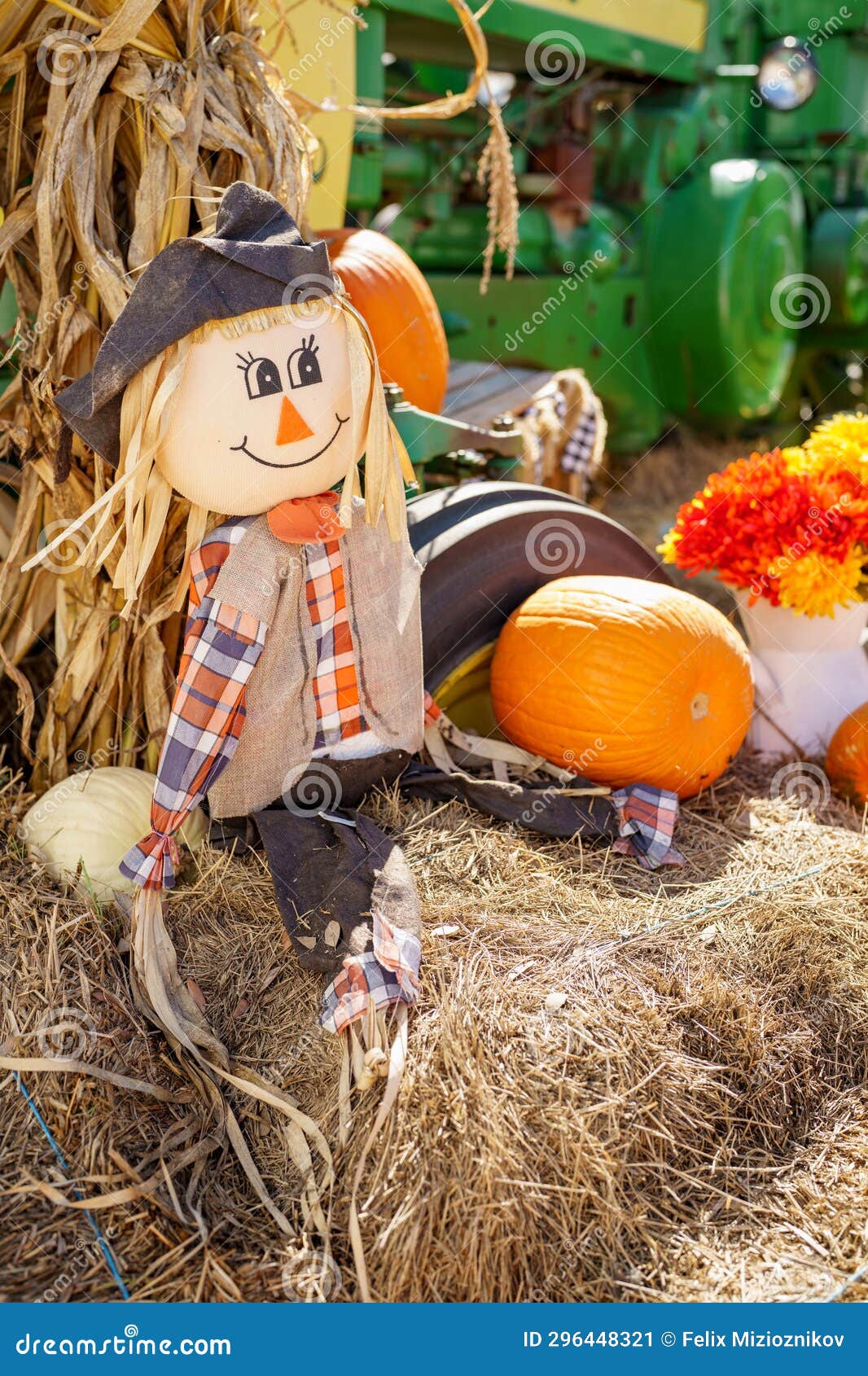 Festive Fall Farm Scene with Pumpkins and Scarecrows Stock Image ...