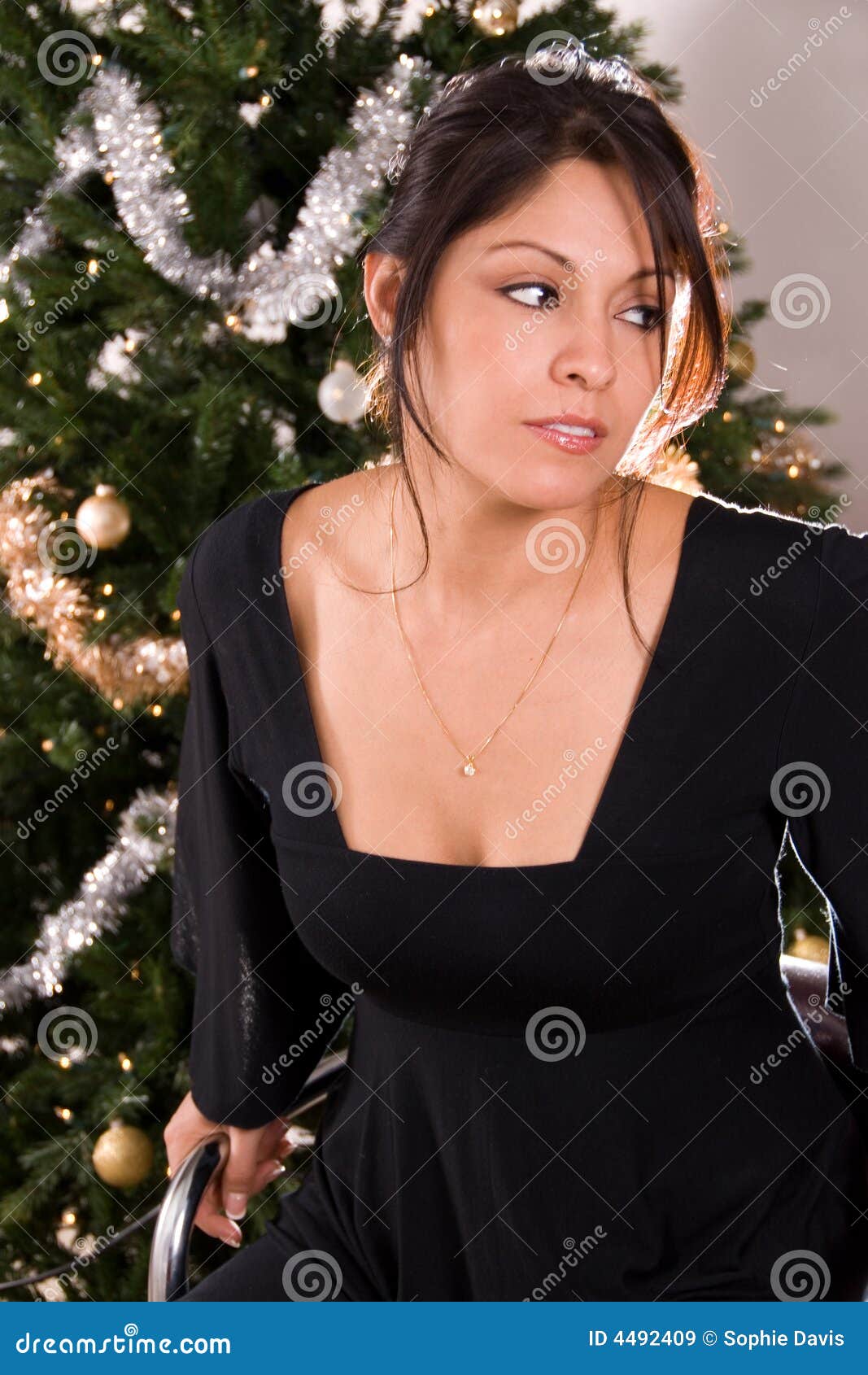 Festive female portrait. stock image. Image of holiday - 4492409