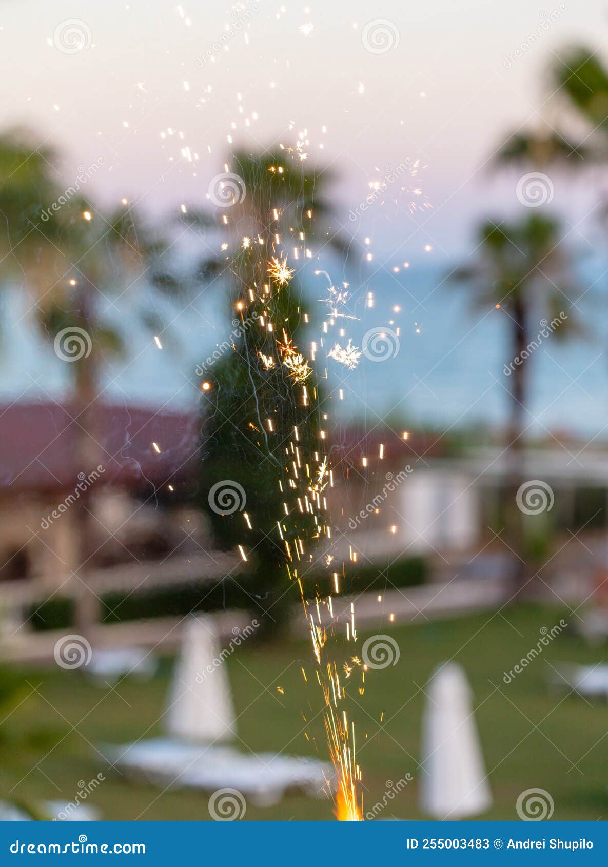 Festive Firework Sparks in a Park. Stock Image - Image of party ...