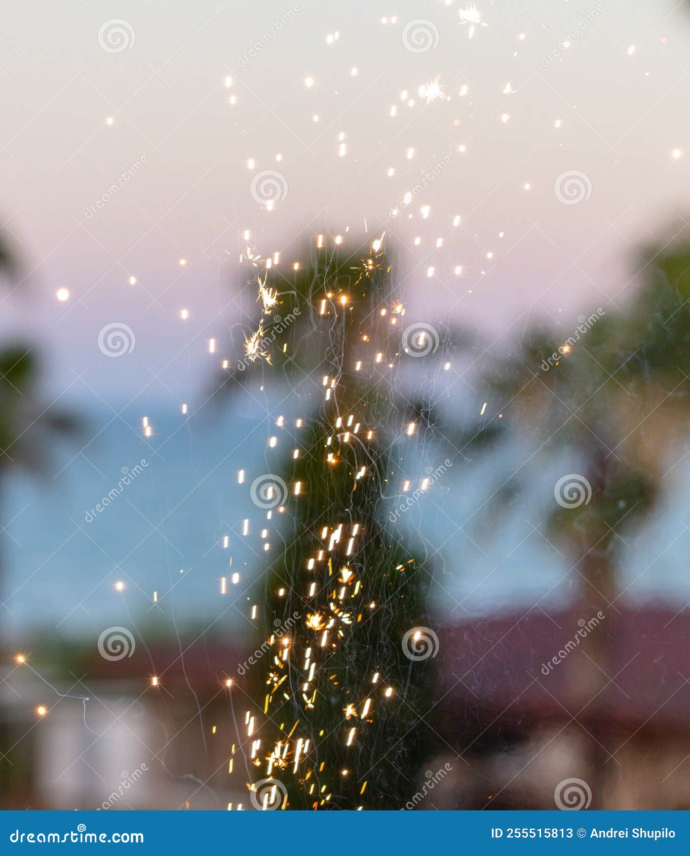 Festive Firework Sparks in a Park. Stock Image - Image of night ...