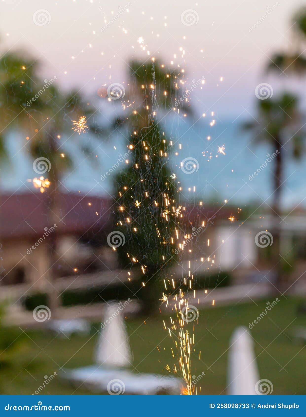 Festive Firework Sparks in a Park. Stock Image - Image of tropical ...