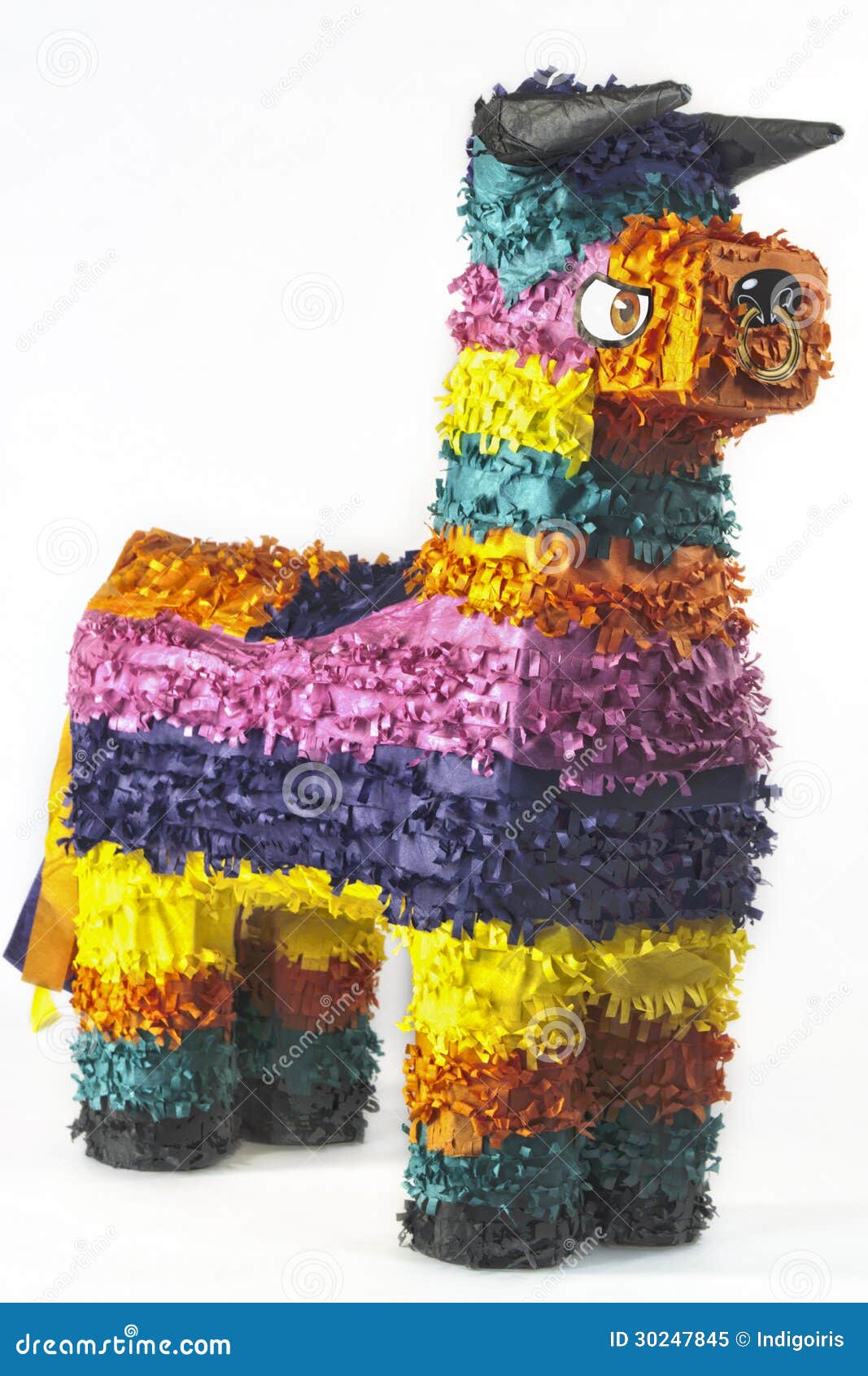 El Toro stock image. Image of hispanic, cinco, festive - 30247845