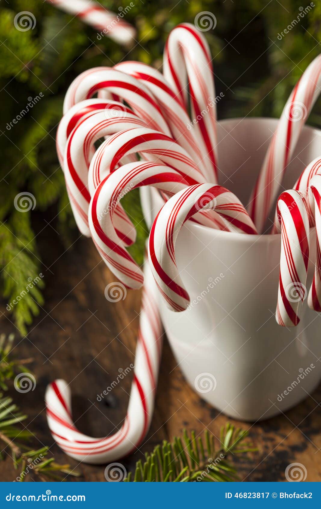 Festive Peppermint Candy Canes Stock Image - Image of sweet, stripe ...