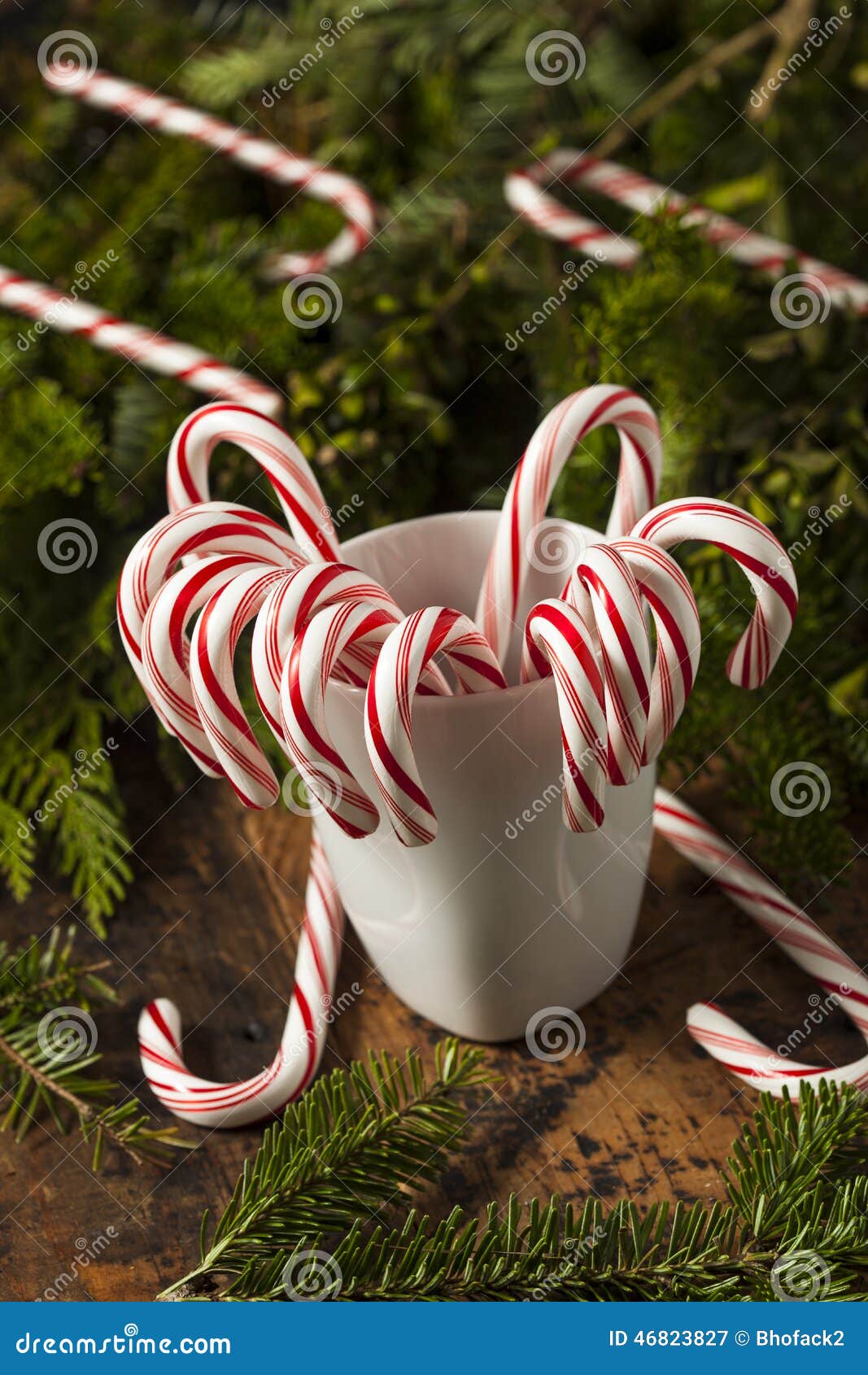 Festive Peppermint Candy Canes Stock Image - Image of dessert ...