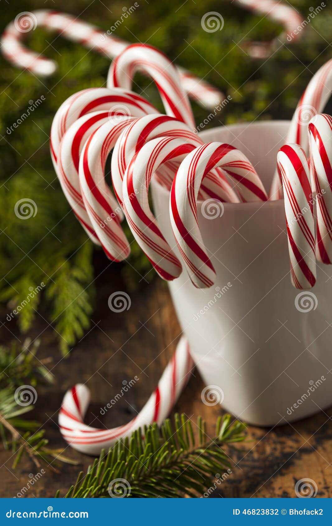 Festive Peppermint Candy Canes Stock Photo - Image of striped, food ...