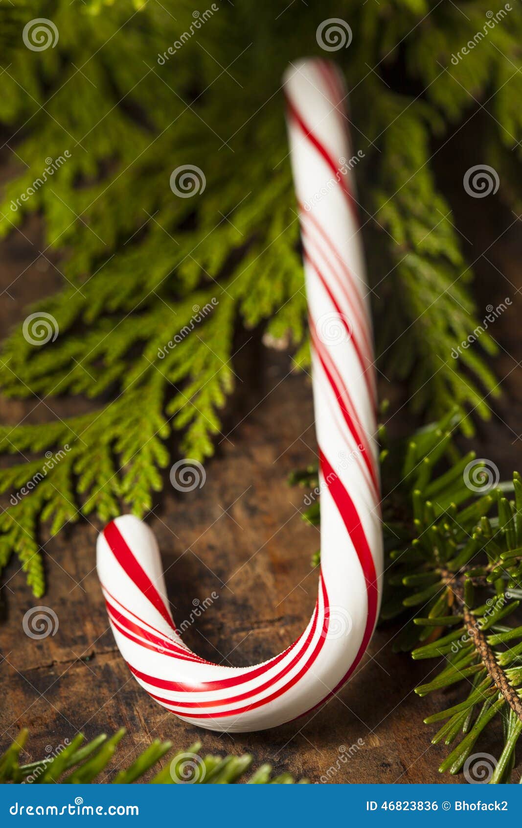 Festive Peppermint Candy Canes Stock Photo - Image of candy, stick ...