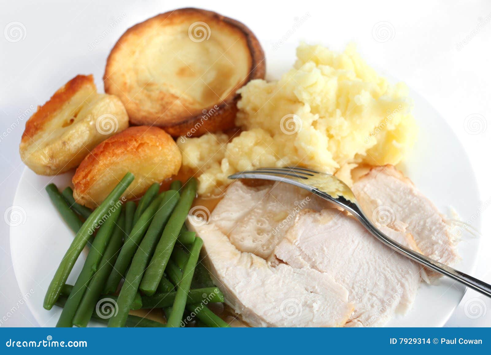 Festive turkey dinner stock photo. Image of horizontal - 7929314
