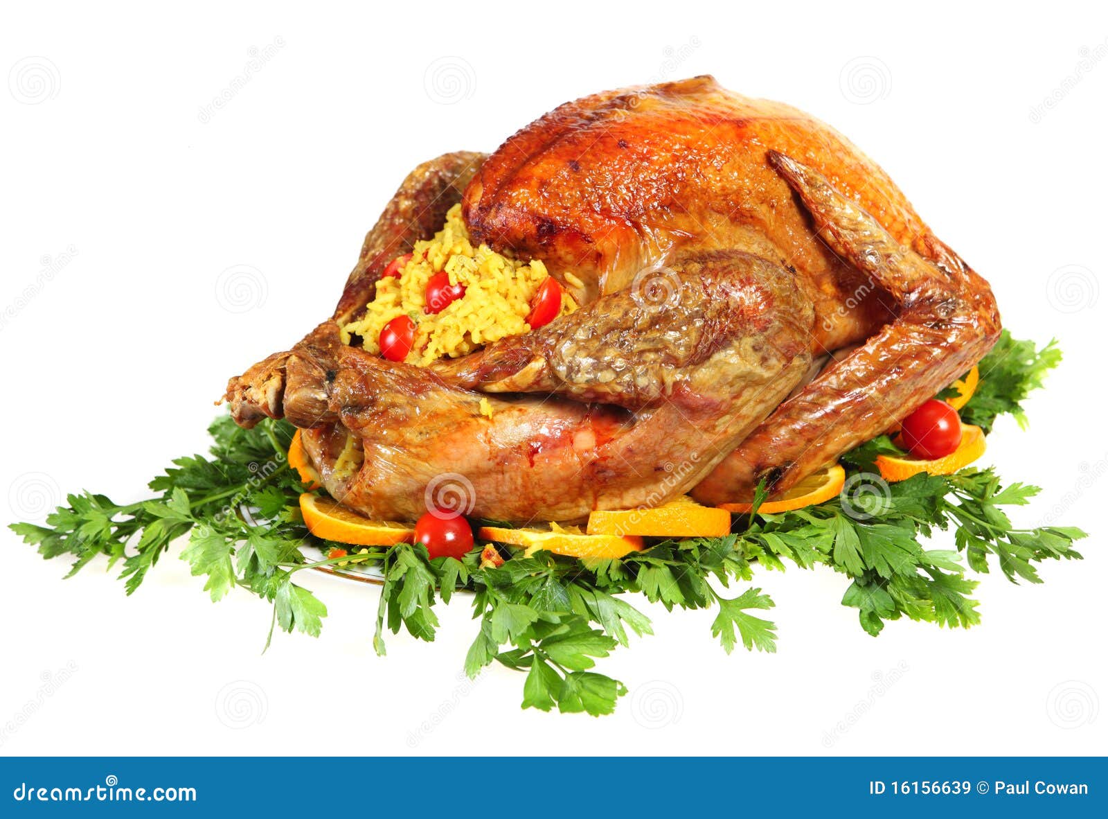 Festive Turkey Side View Isolated Stock Image - Image of dinner, rice ...