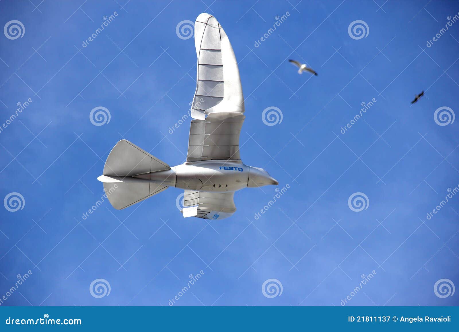 Festo smartbird editorial photography. Image of bird - 21811137