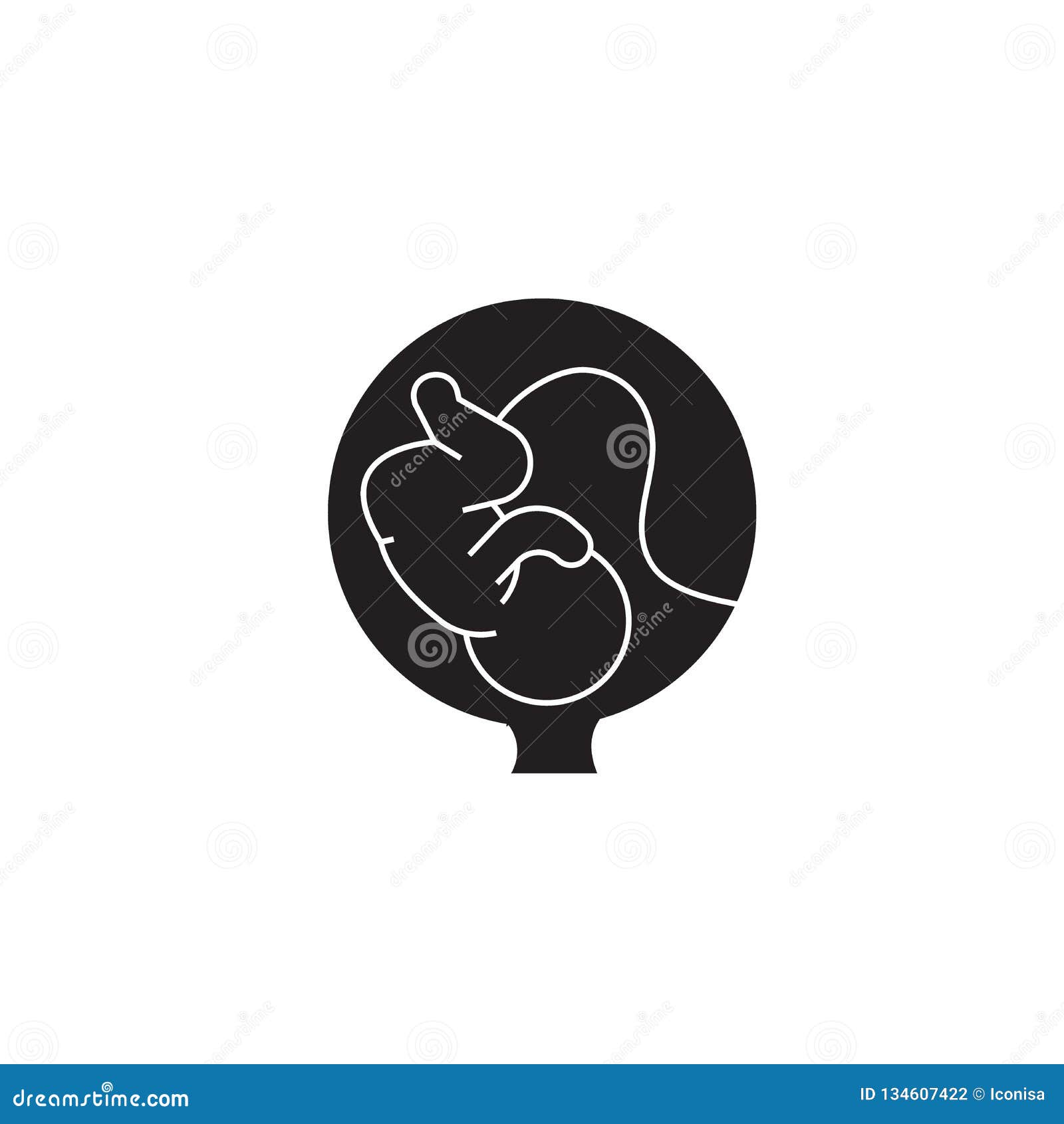 Fetal Development Black Vector Concept Icon Fetal Development Flat