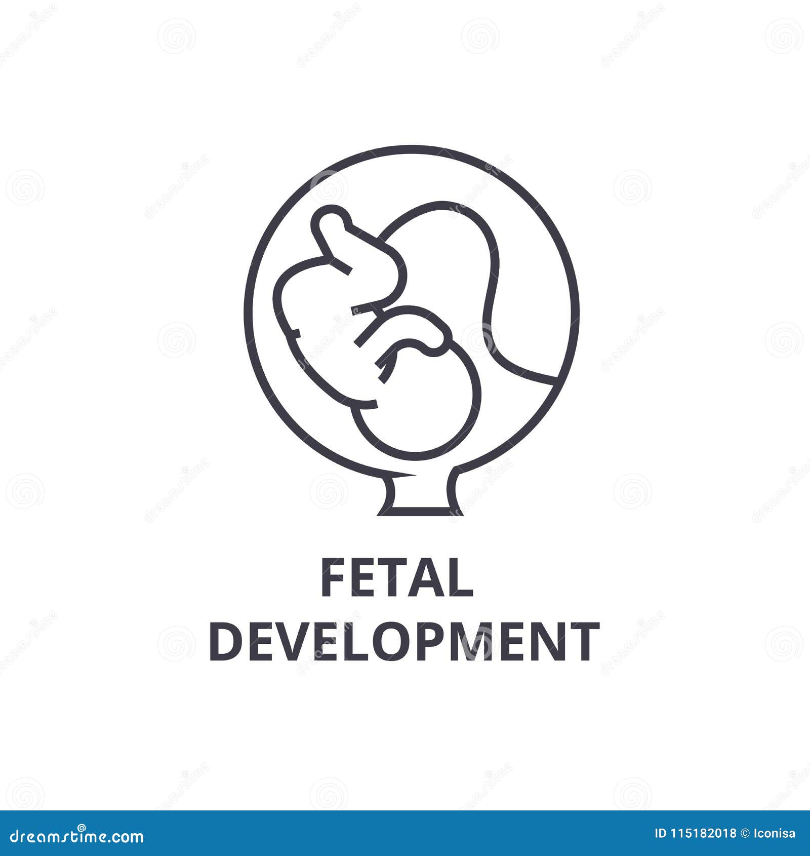 Fetal Development Thin Line Icon, Sign, Symbol, Illustation, Linear ...