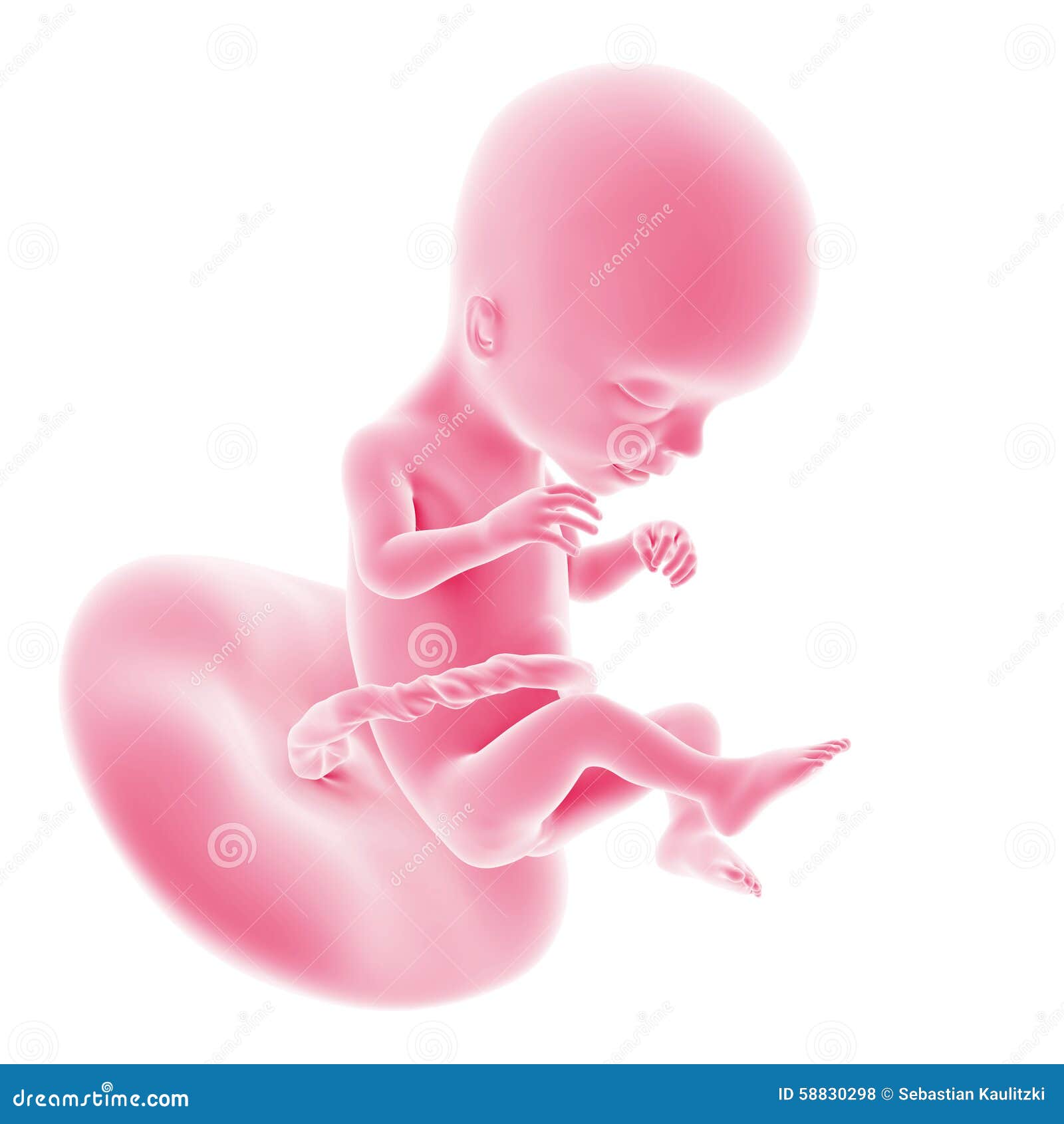 Fetal Cartoons, Illustrations & Vector Stock Images - 4766 Pictures to ...