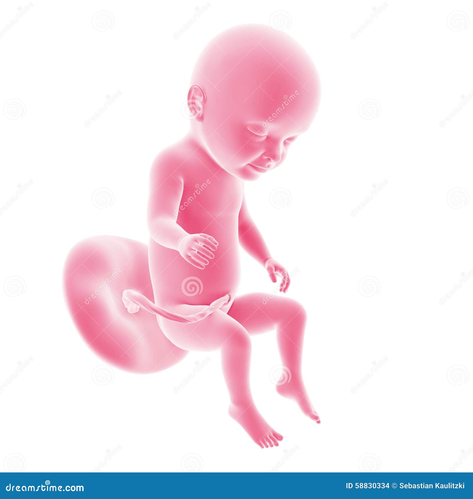 Fetal Cartoons, Illustrations & Vector Stock Images - 4766 Pictures to ...