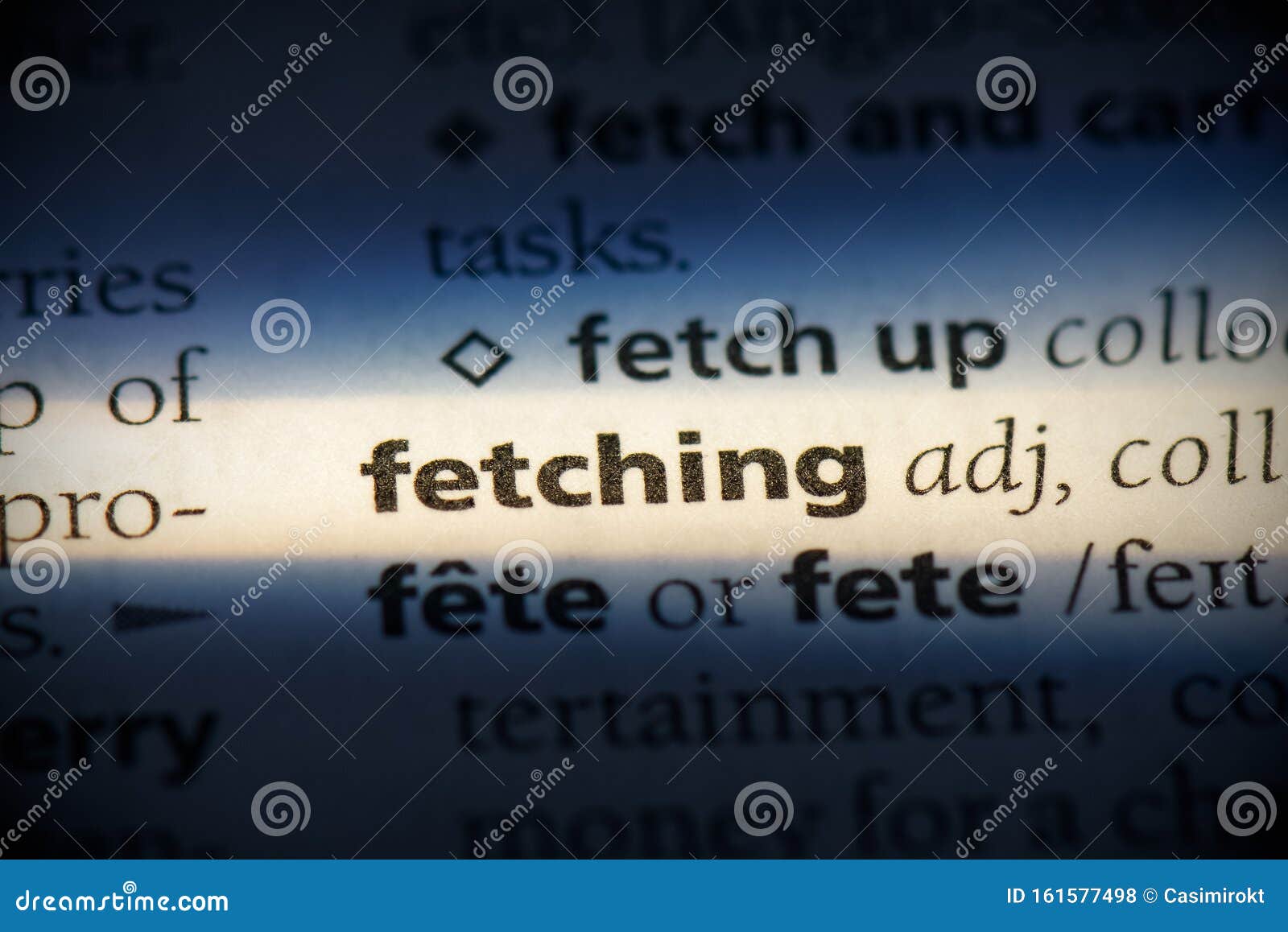 Fetching stock photo. Image of reference, word, text - 161577498