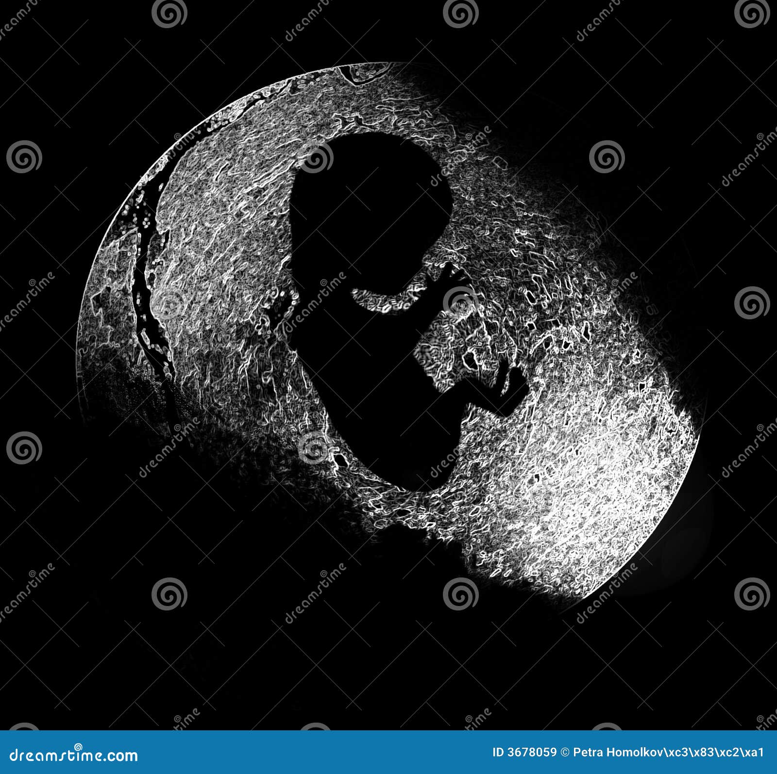 Fetus stock image. Image of child, embryo, mother, fetus - 3678059