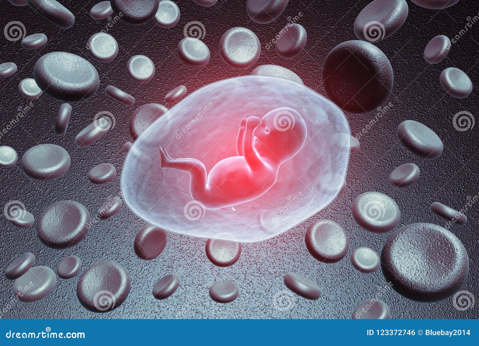 Fetus with bloodcell stock illustration. Illustration of bloodcell ...