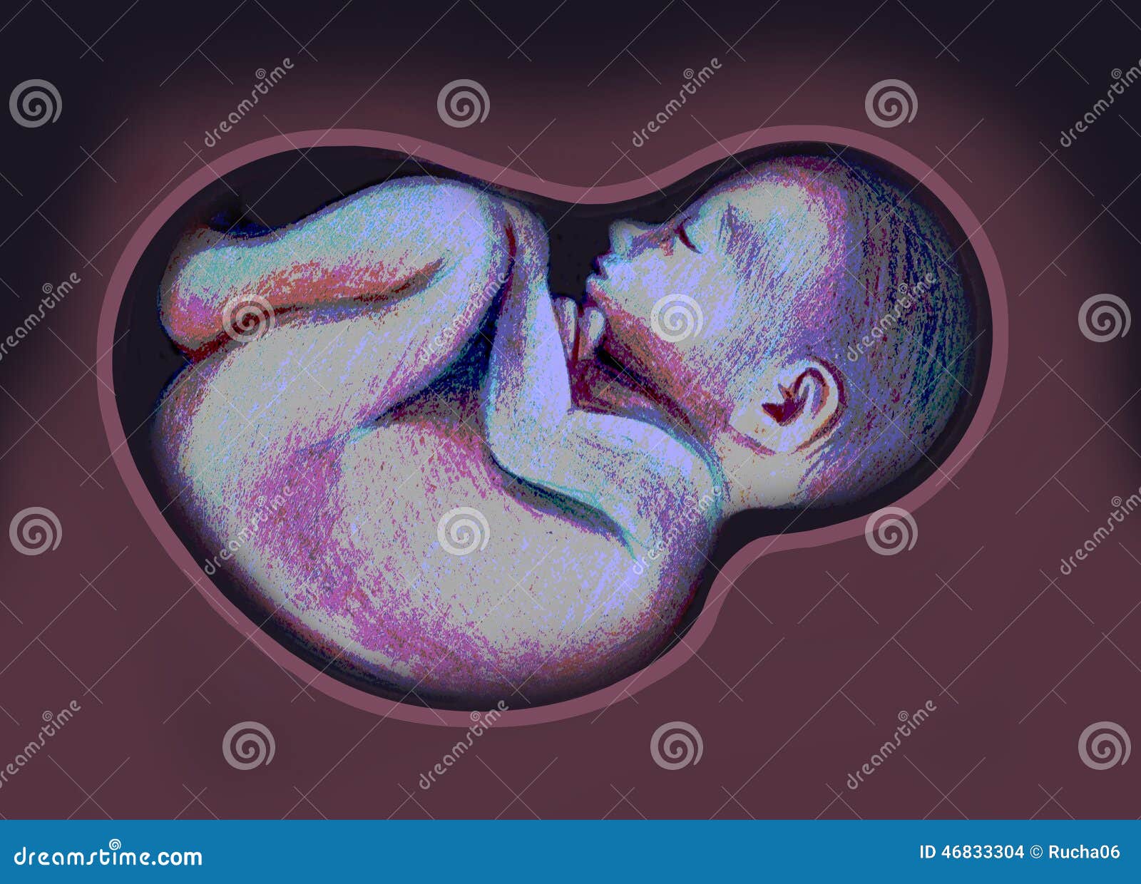 Fetus stock illustration. Illustration of life, ultrasound - 46833304