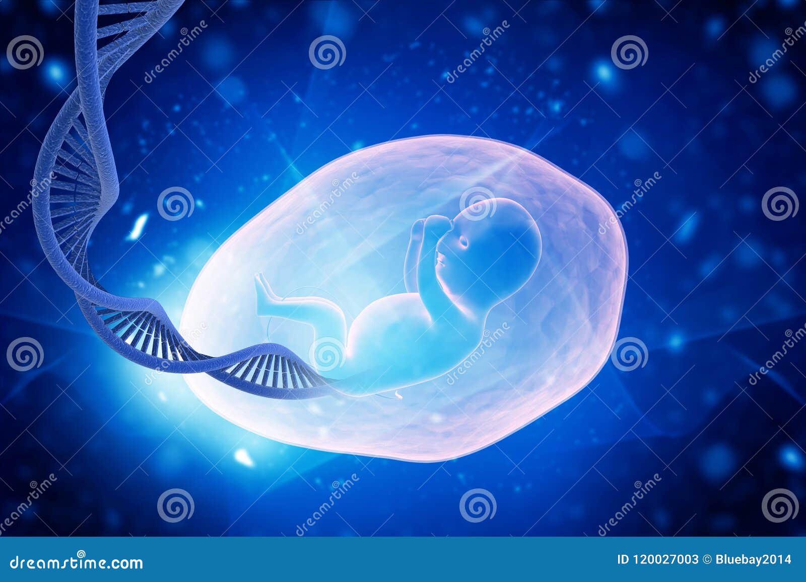 Fetus with DNA stock illustration. Illustration of abstract - 120027003