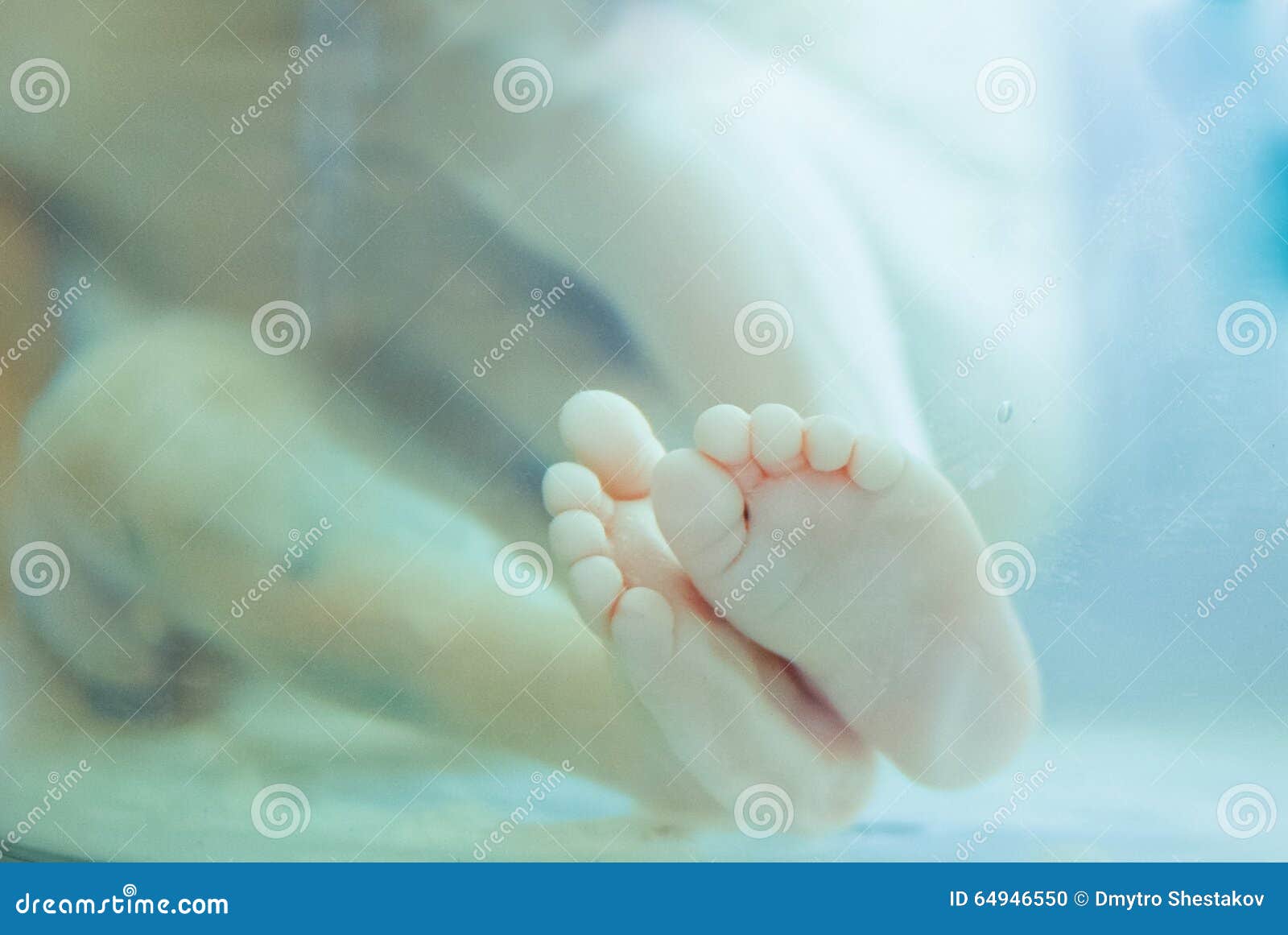 Fetus in formalin solution stock photo. Image of choice - 64946550
