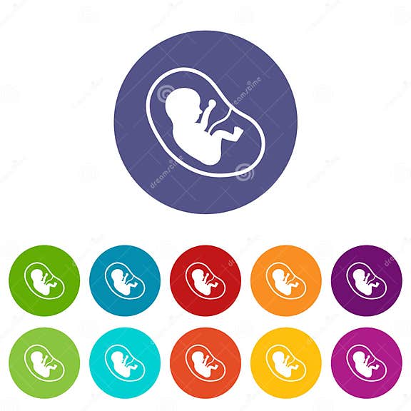 Fetus Icons Set Flat Vector Stock Vector - Illustration of person ...