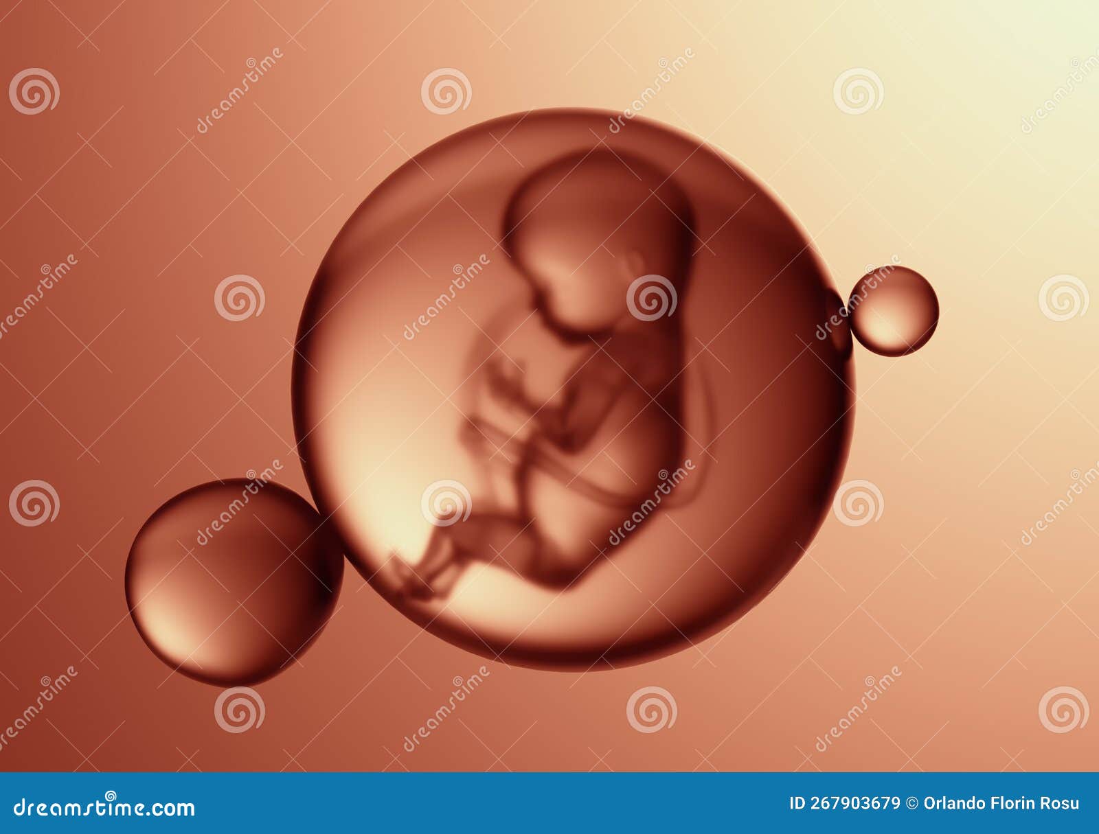 Fetus Inside a Sphere. Fertility and Science Concept Stock Illustration ...