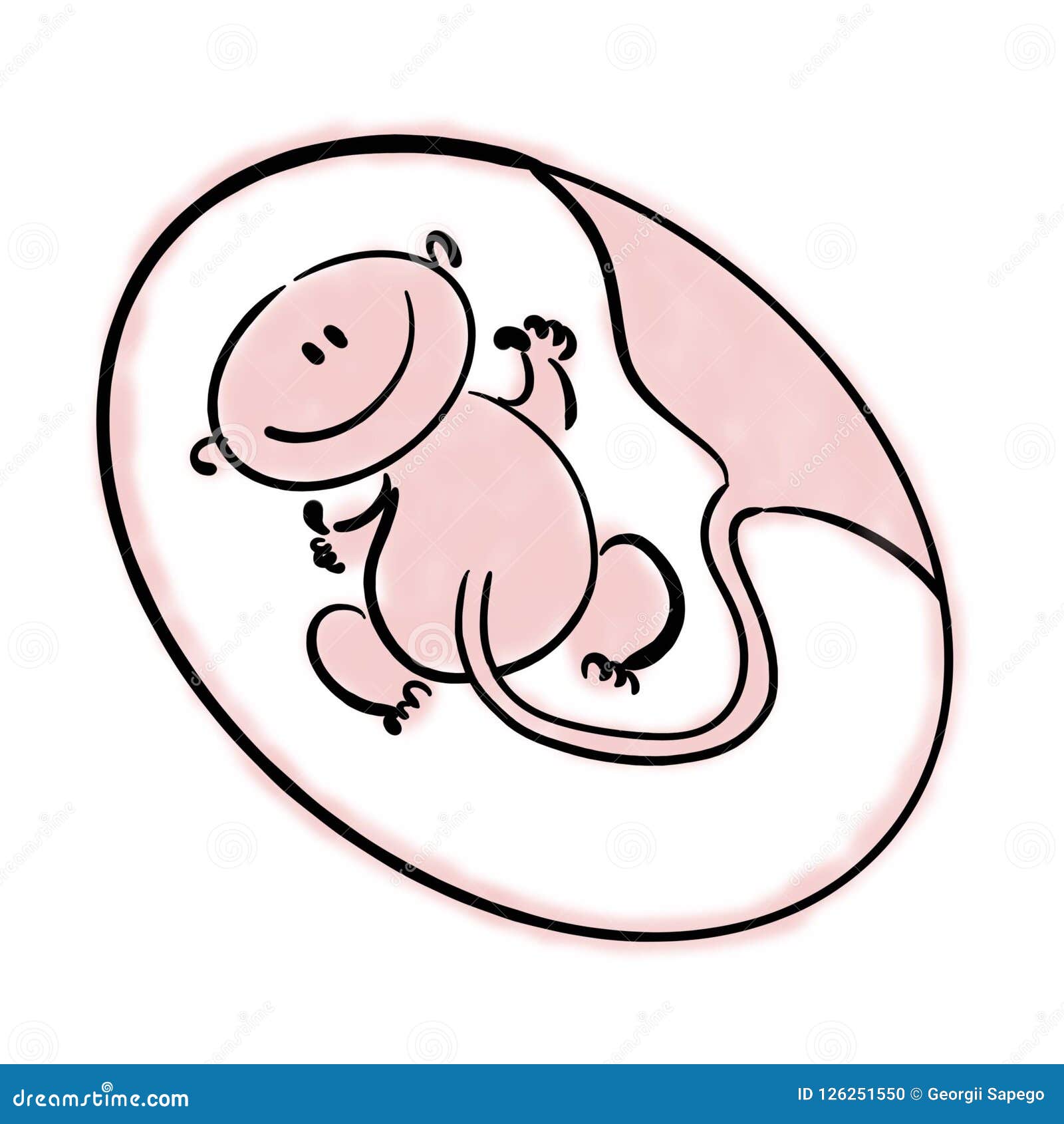 Fetus and placenta. stock illustration. Illustration of little - 126251550