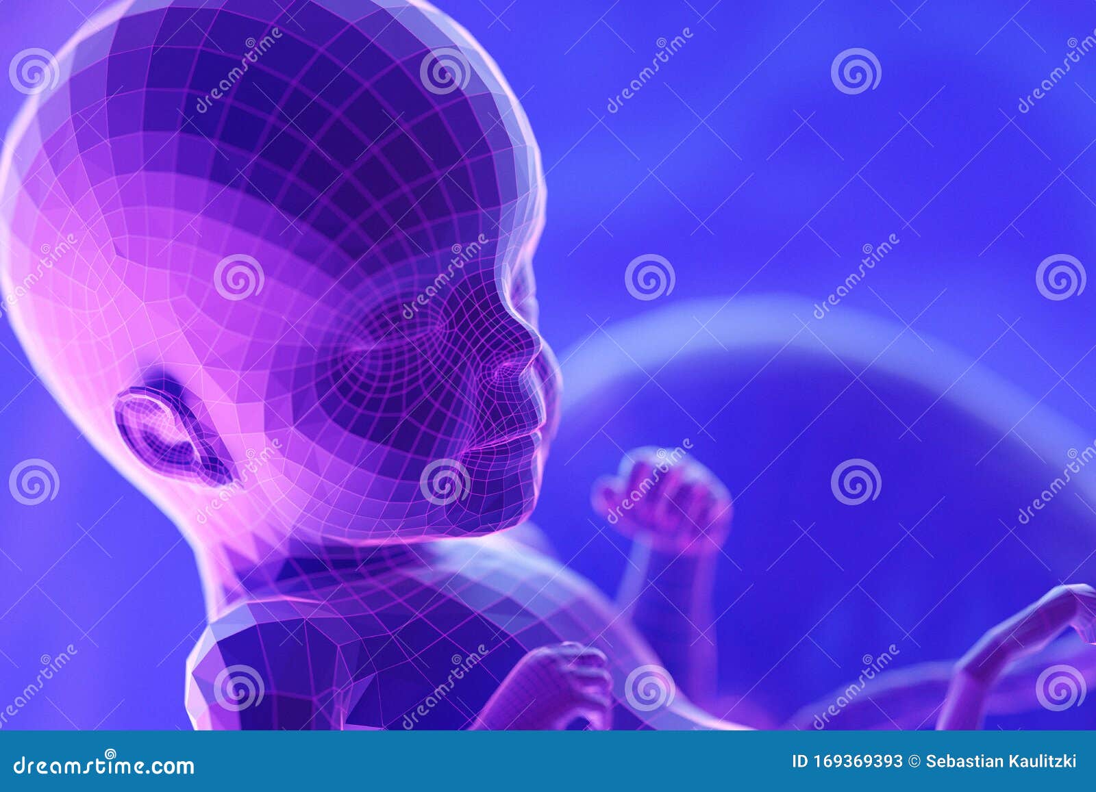A fetus - week 26 stock illustration. Illustration of abstract - 169369393