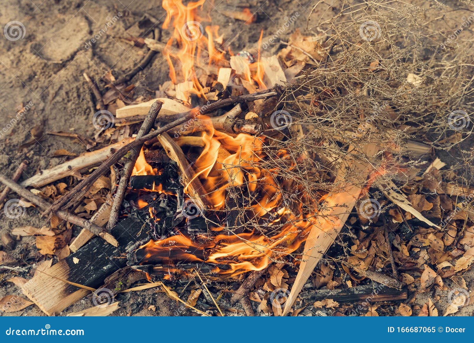 Feu De Petites Branches En Nature Image stock - Image du brindille ...