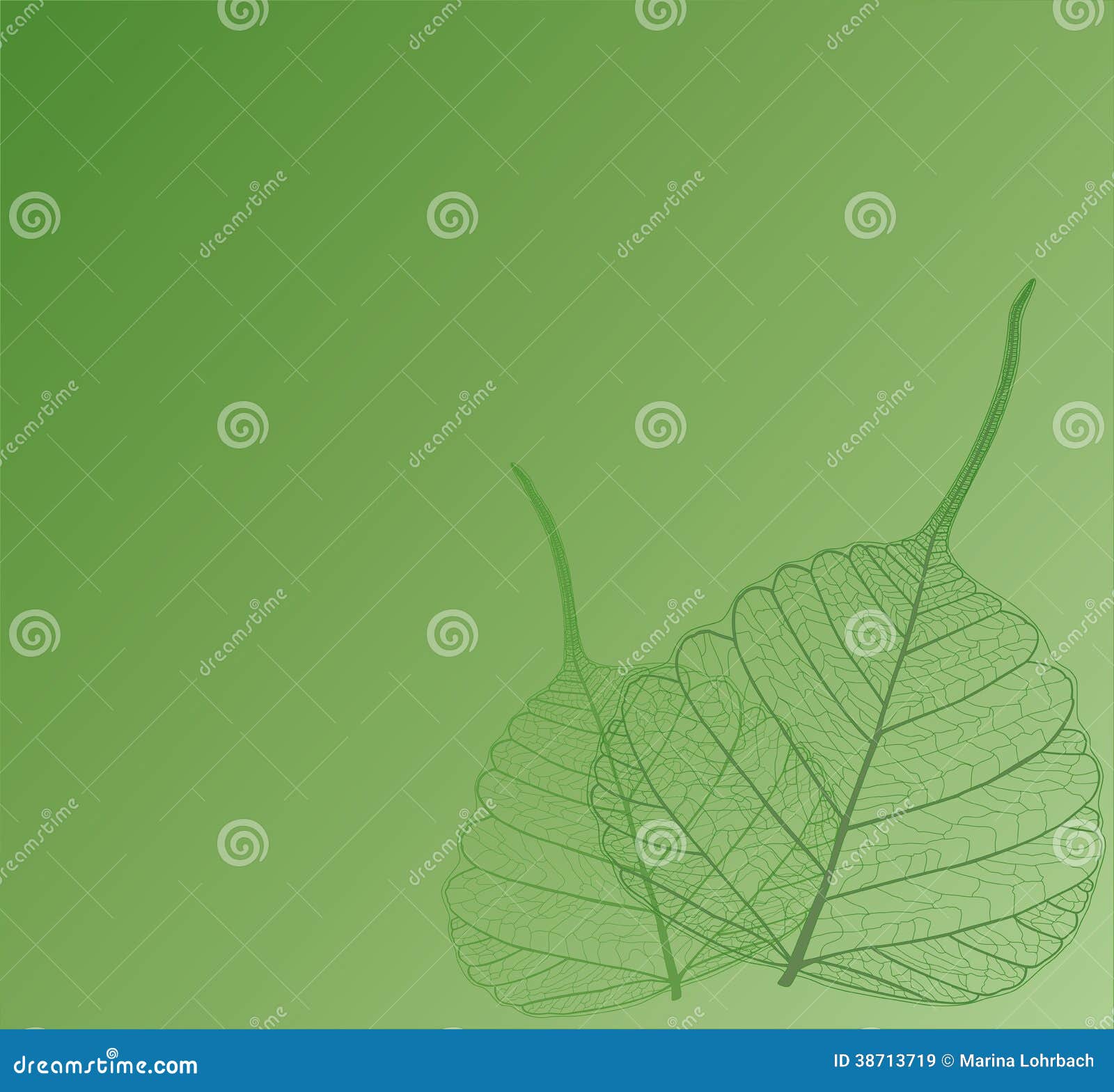 Feuille En Filigrane, Illustration Illustration Stock - Illustration du ...