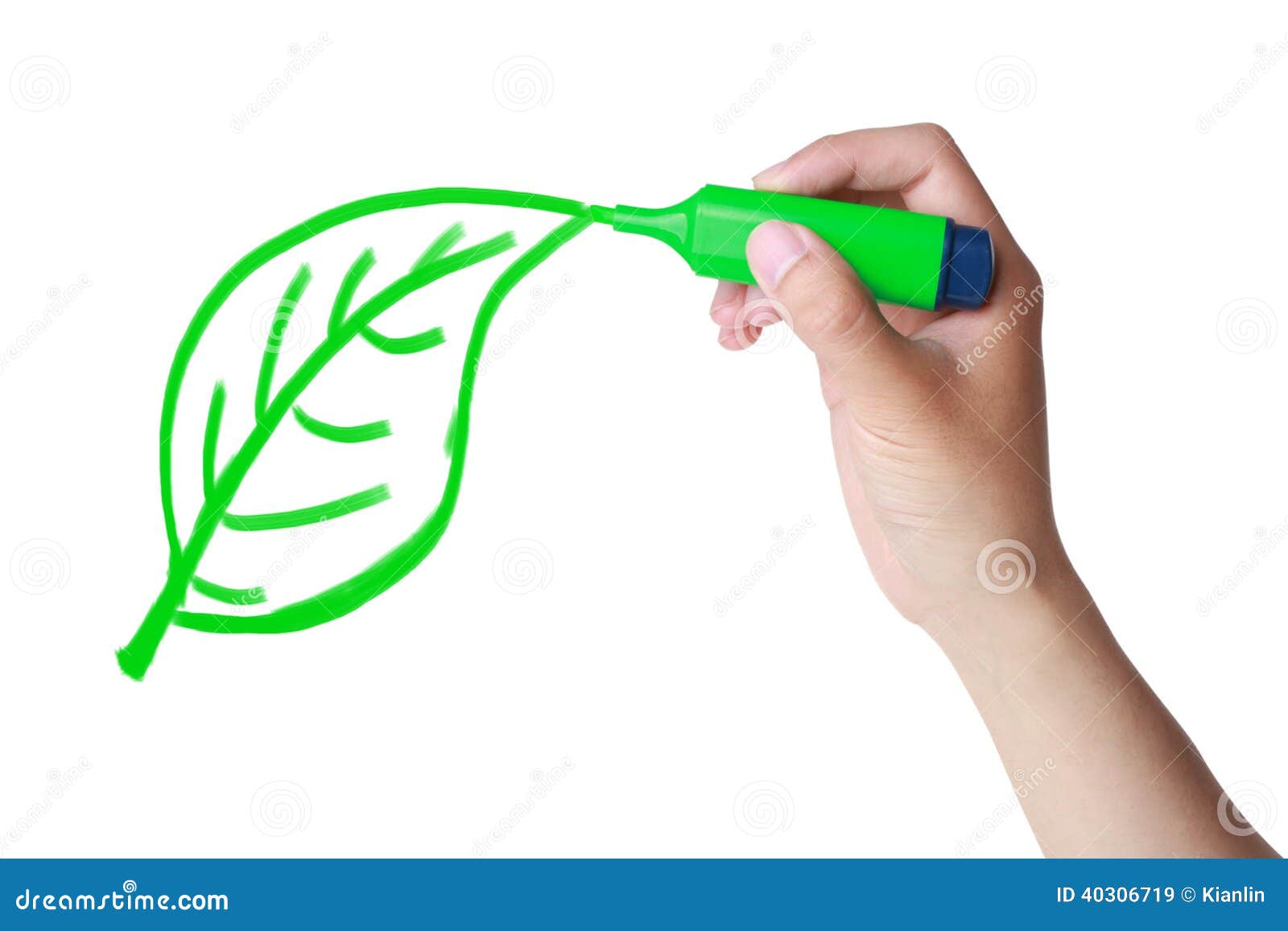 Feuille verte de dessin image stock. Image of charme - 40306719