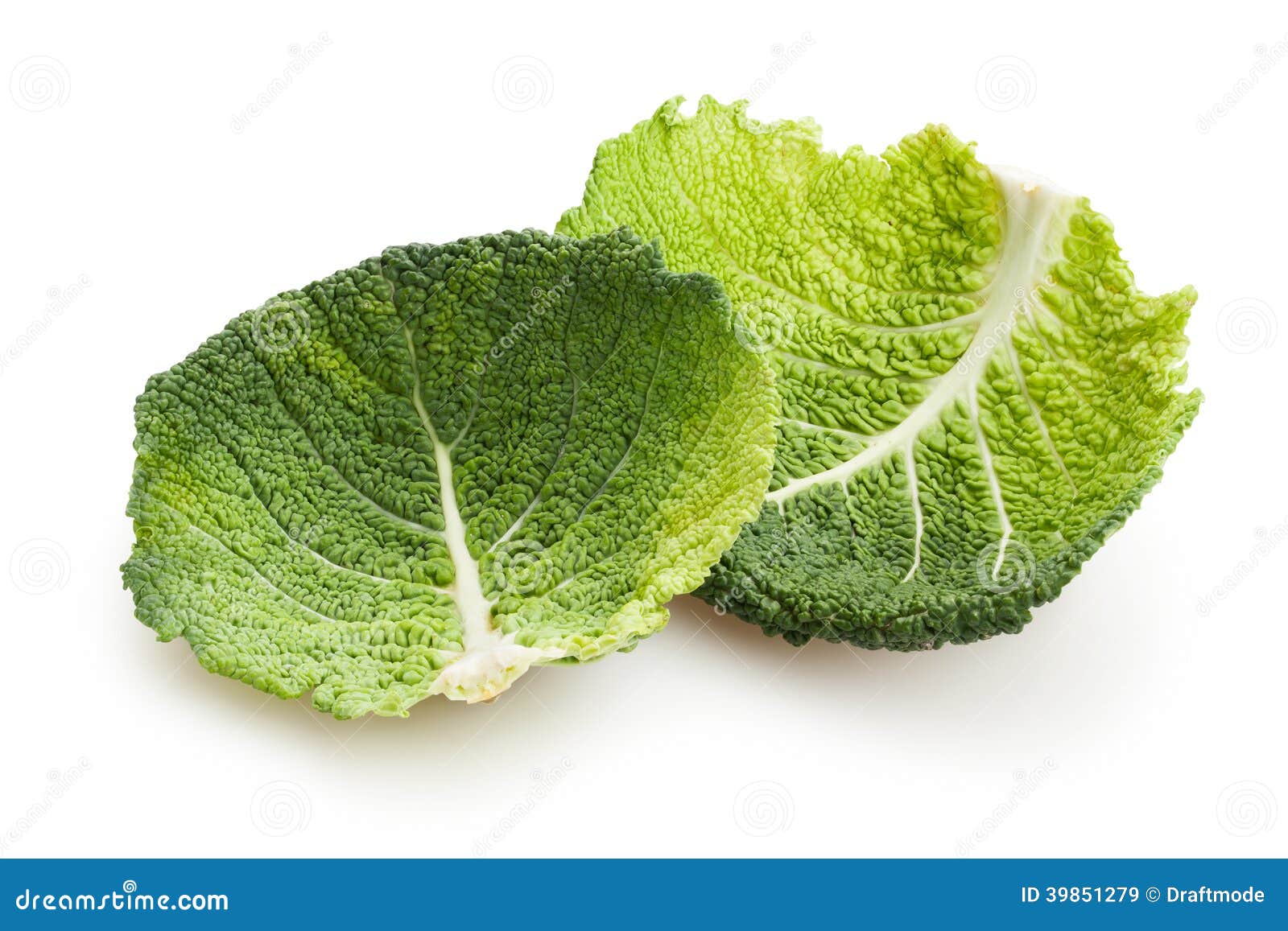 Feuilles de chou de Milan image stock. Image du savoureux - 39851279