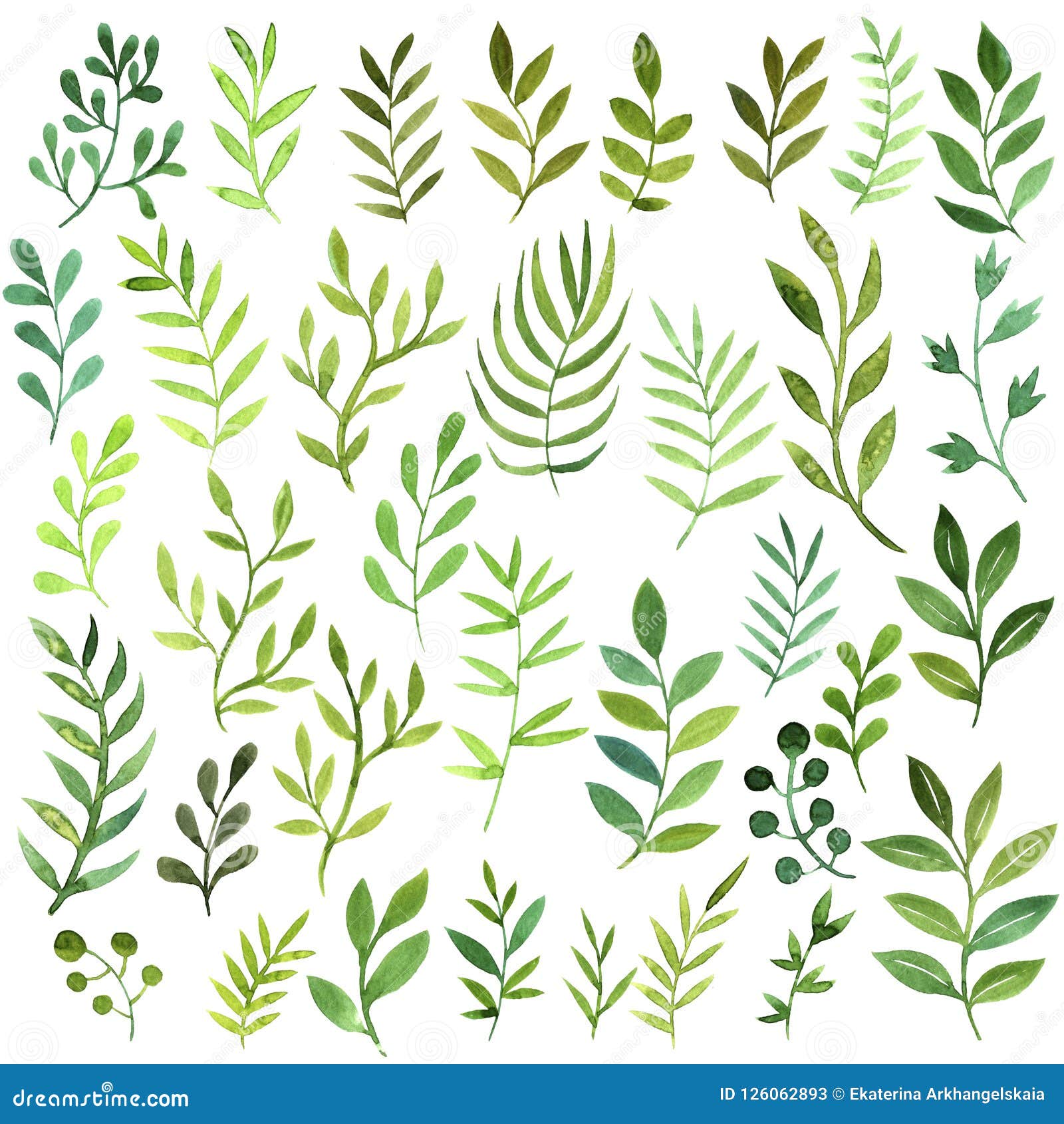 Feuilles De Dessin De Vert D'aquarelle Illustration Stock ...