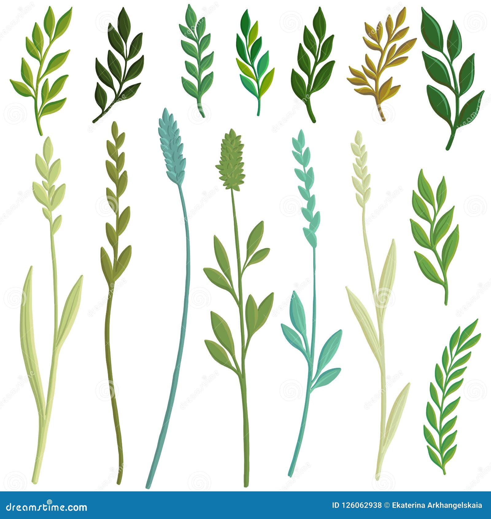 Feuilles De Dessin De Vert De Vecteur Illustration de Vecteur ...