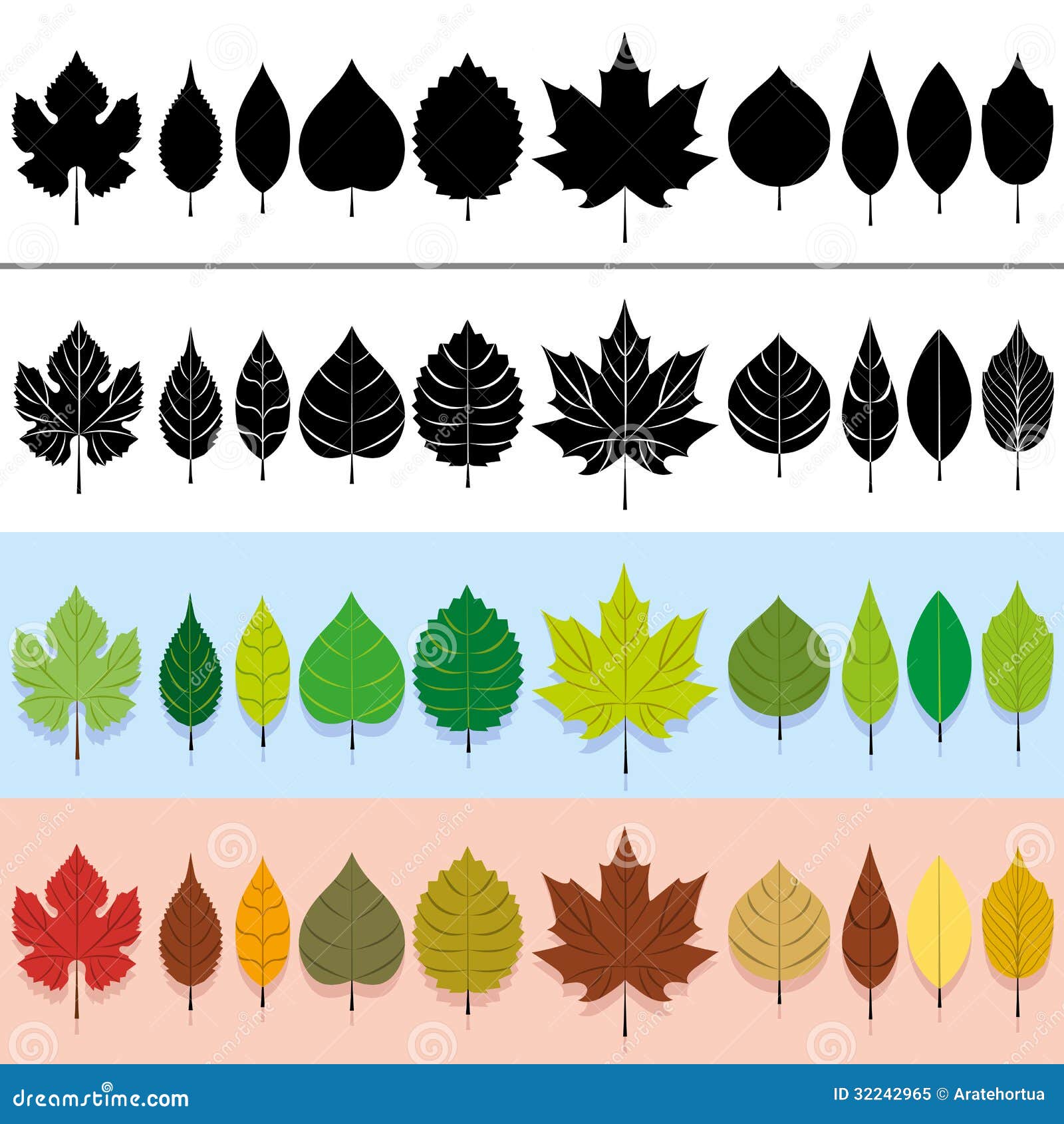 Feuilles De Vecteur Réglées Illustration de Vecteur - Illustration du ...