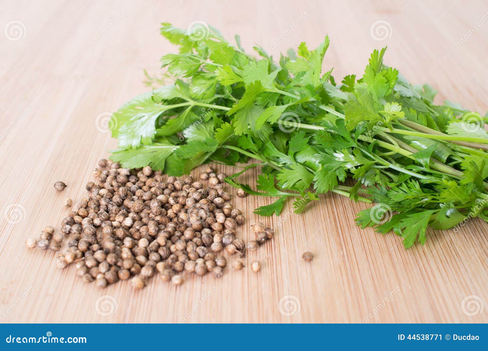 Feuilles Et Graines De Coriandre Image stock - Image du bois, panneau ...