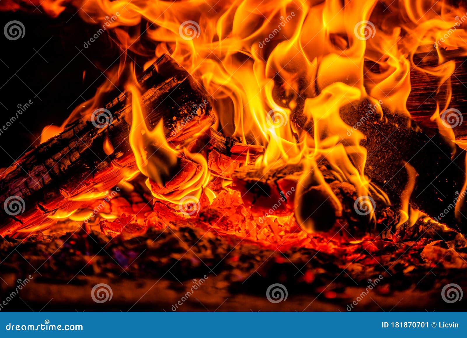 A few birch logs burning stock image. Image of night - 181870701