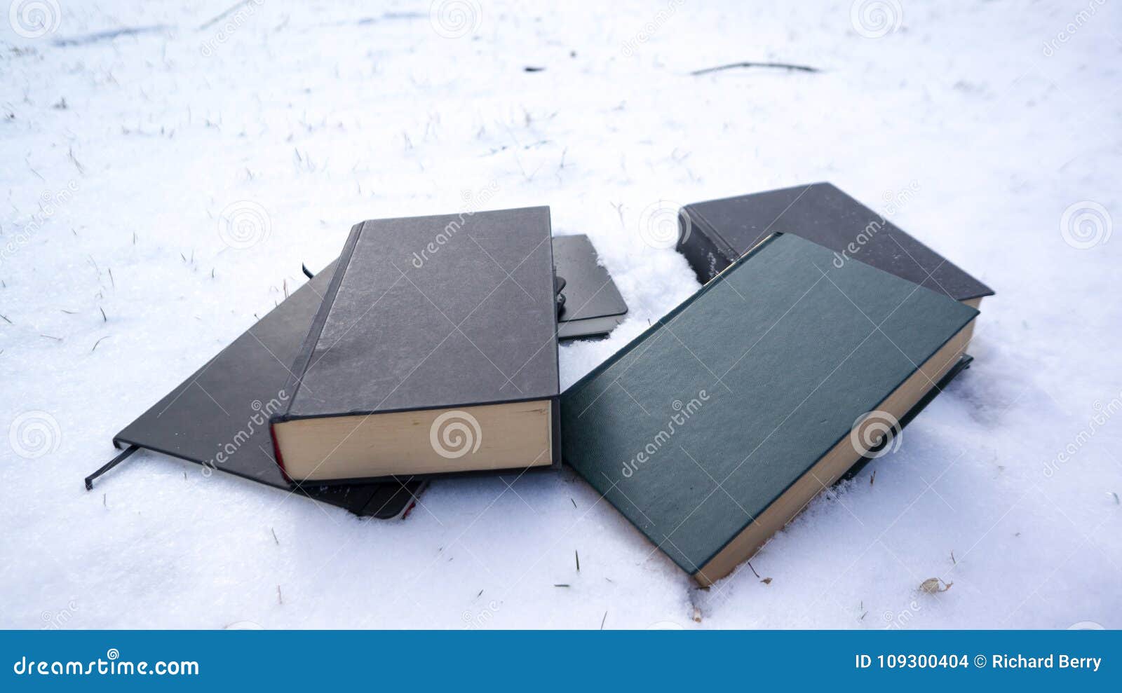 Books in snow stock photo. Image of pages, text, cold - 109300404
