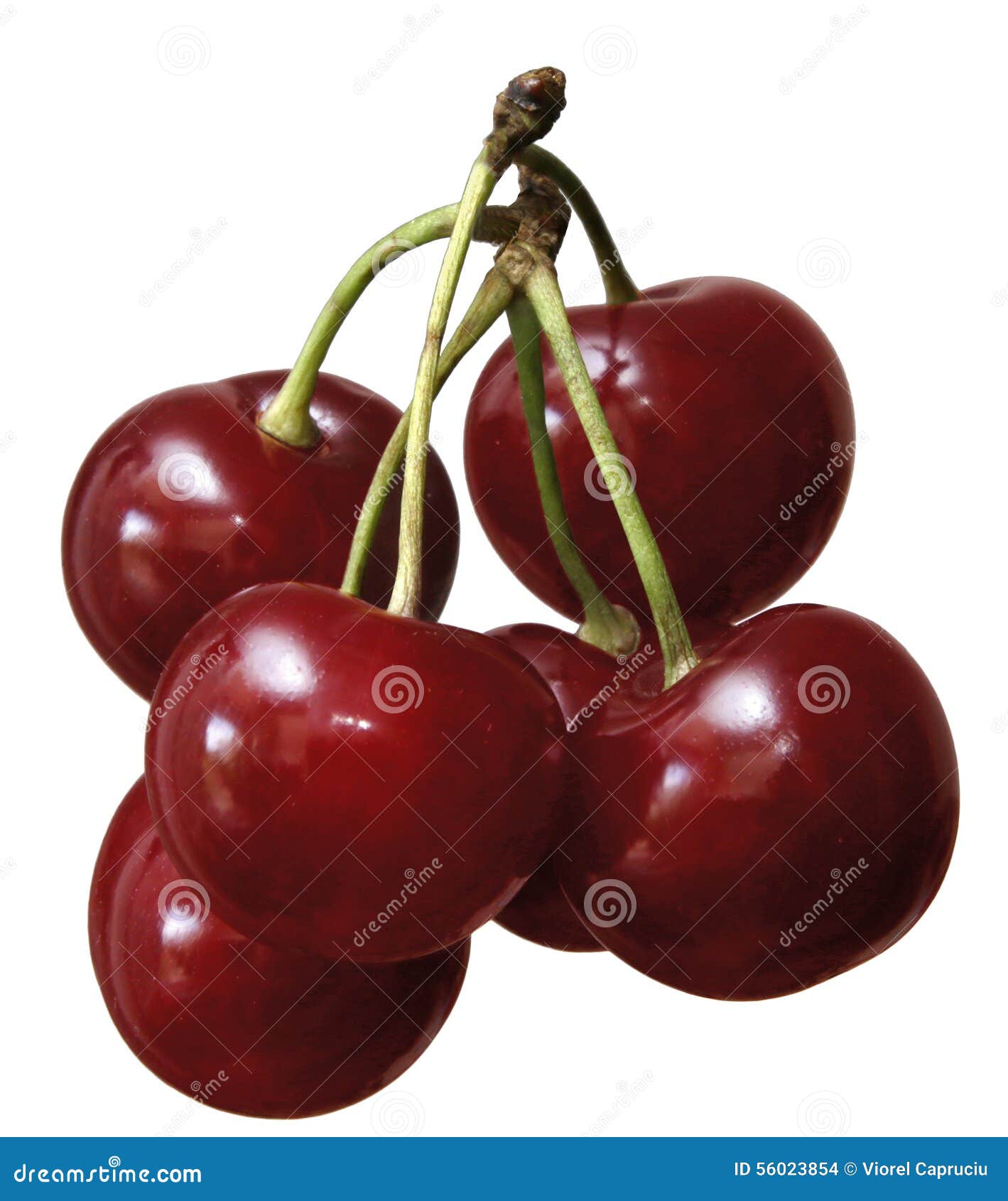 Few cherries stock photo. Image of seasonal, sweet, cherry - 56023854